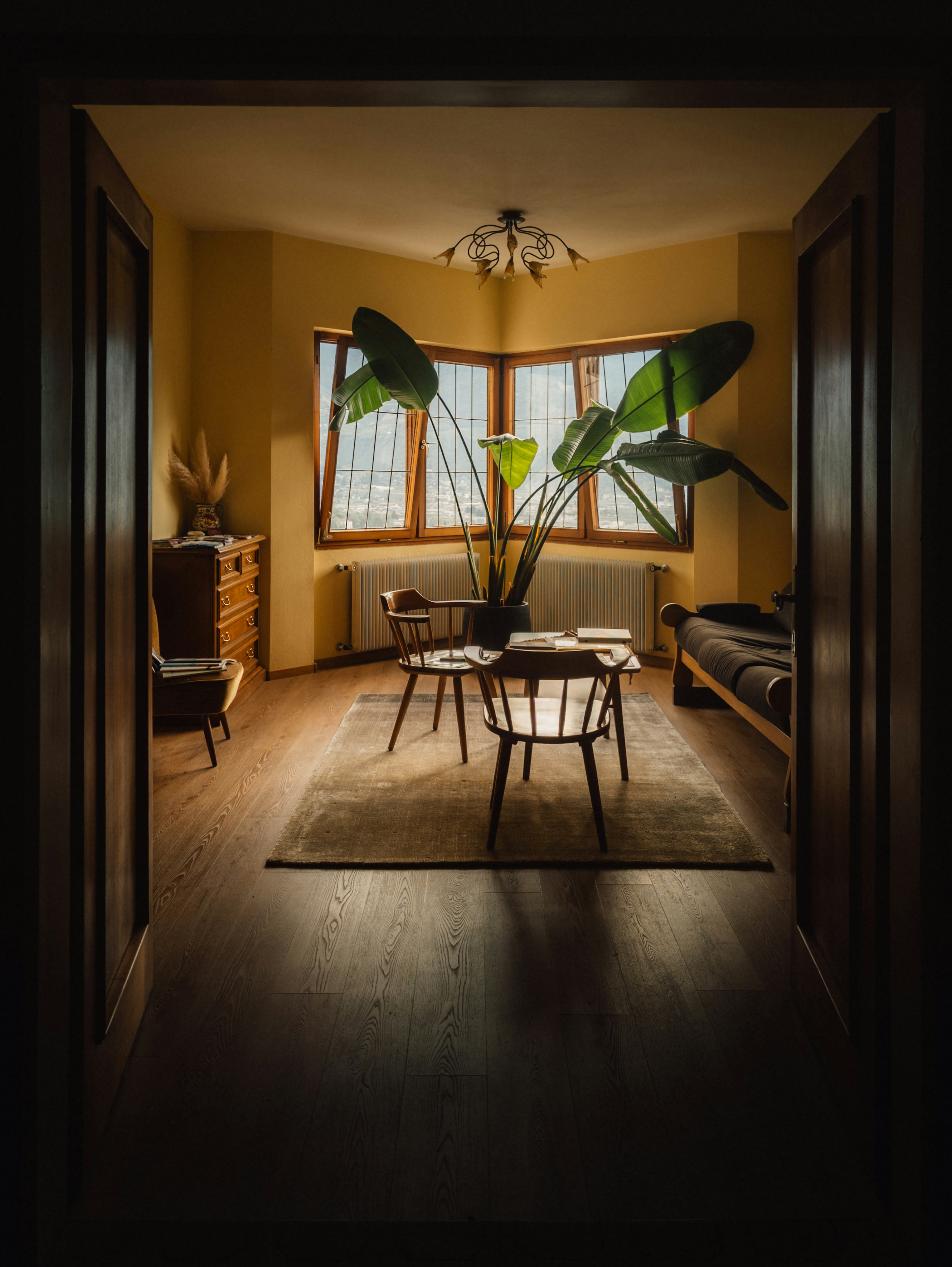 Sunlit Corner: A Cozy Plant Portrait Amid Warm Autumn Hues