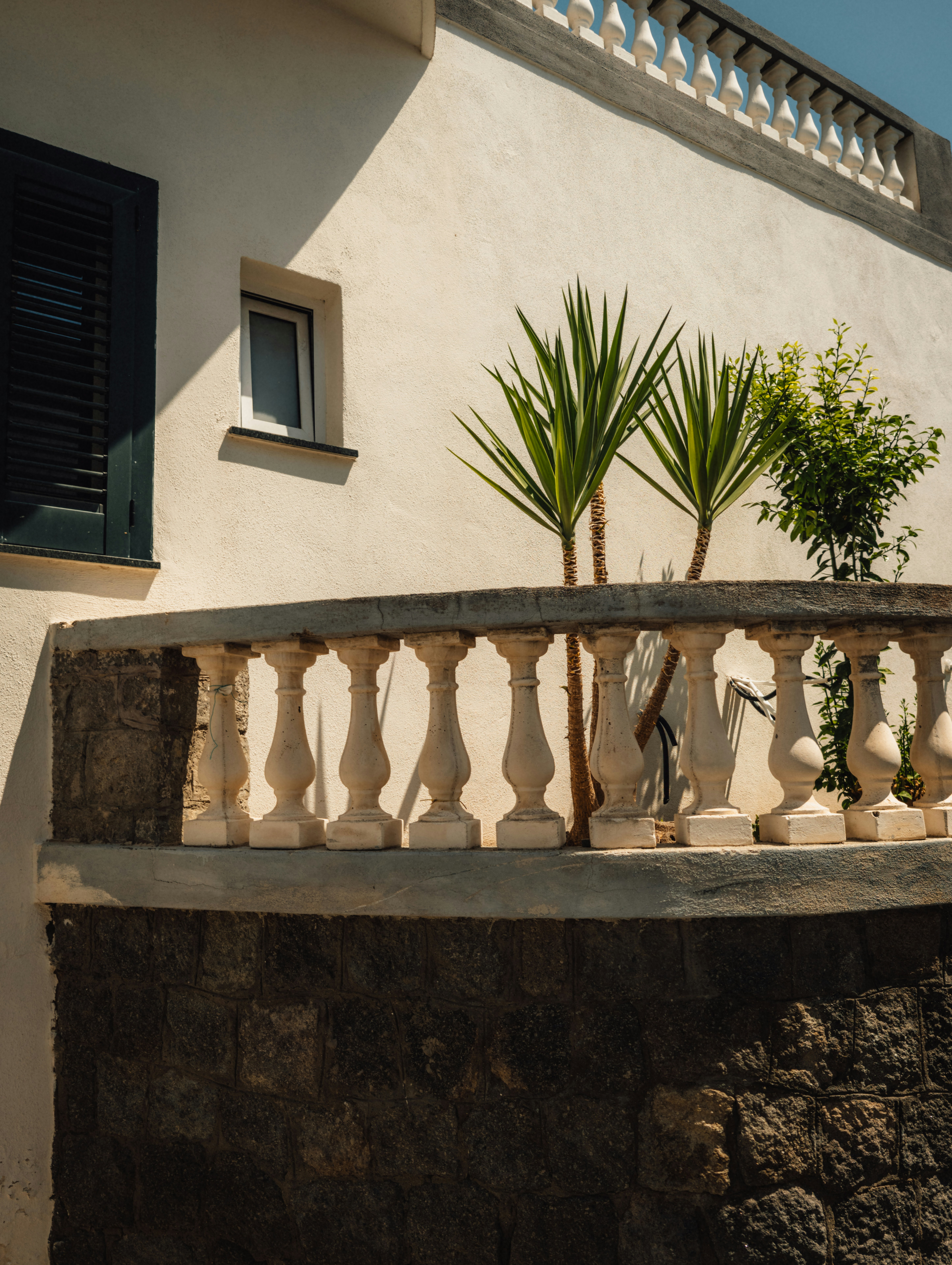 Sunlit Terrace with Palm Sentries
