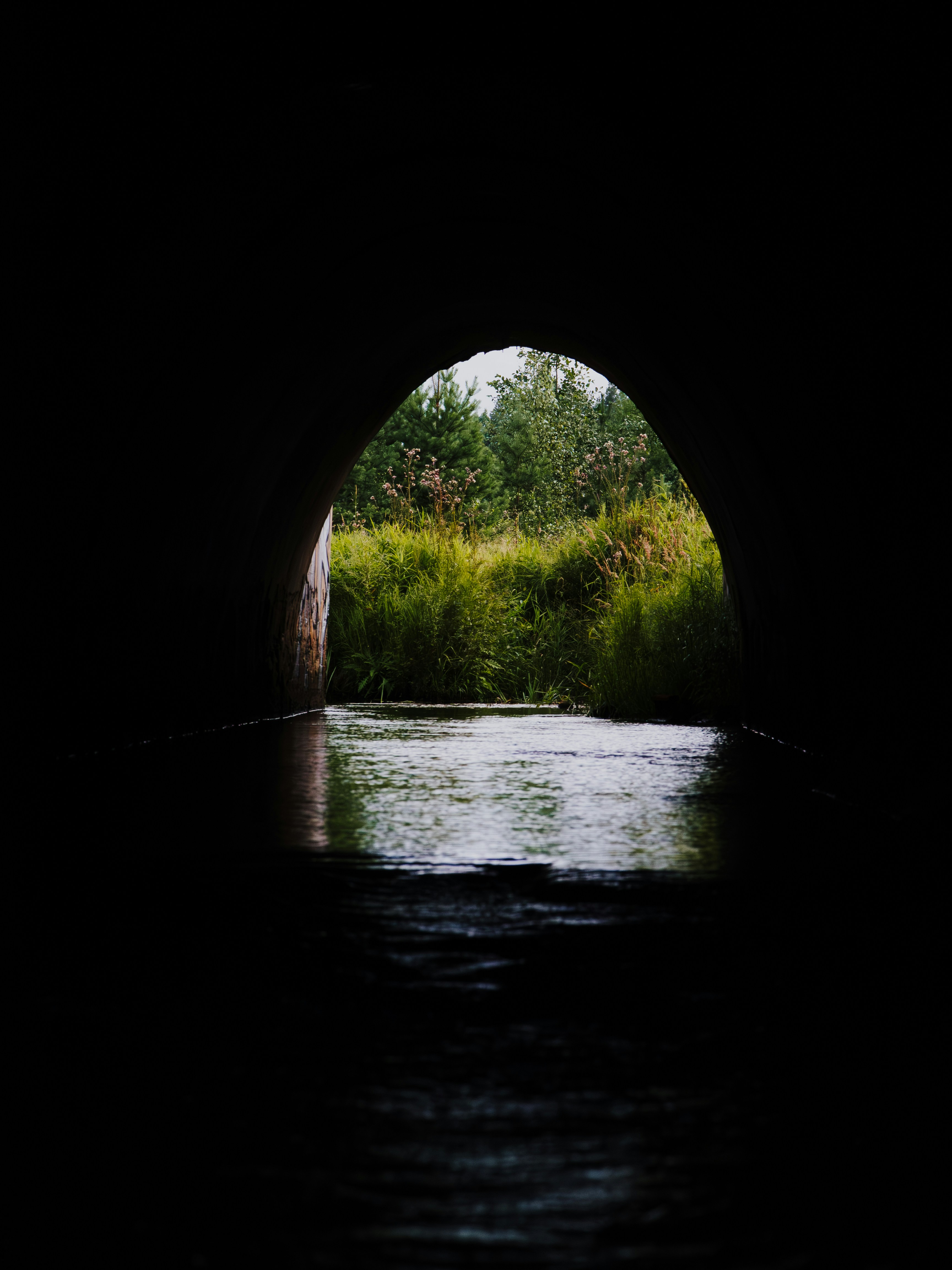Emergence from the Tunnel: Light Beyond the Dark Arch