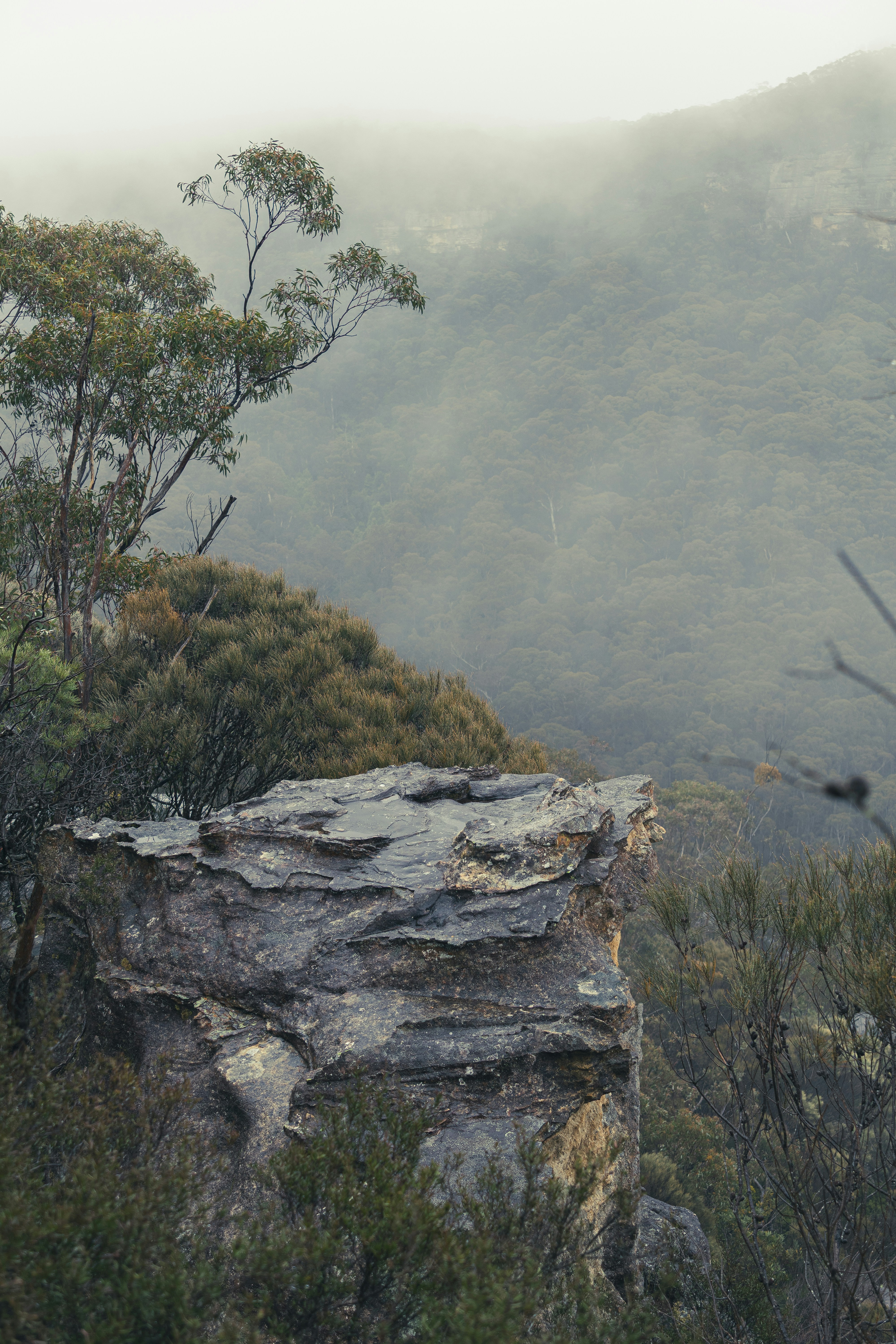 Weathered Cliff Edge Embraced by Misty Valley