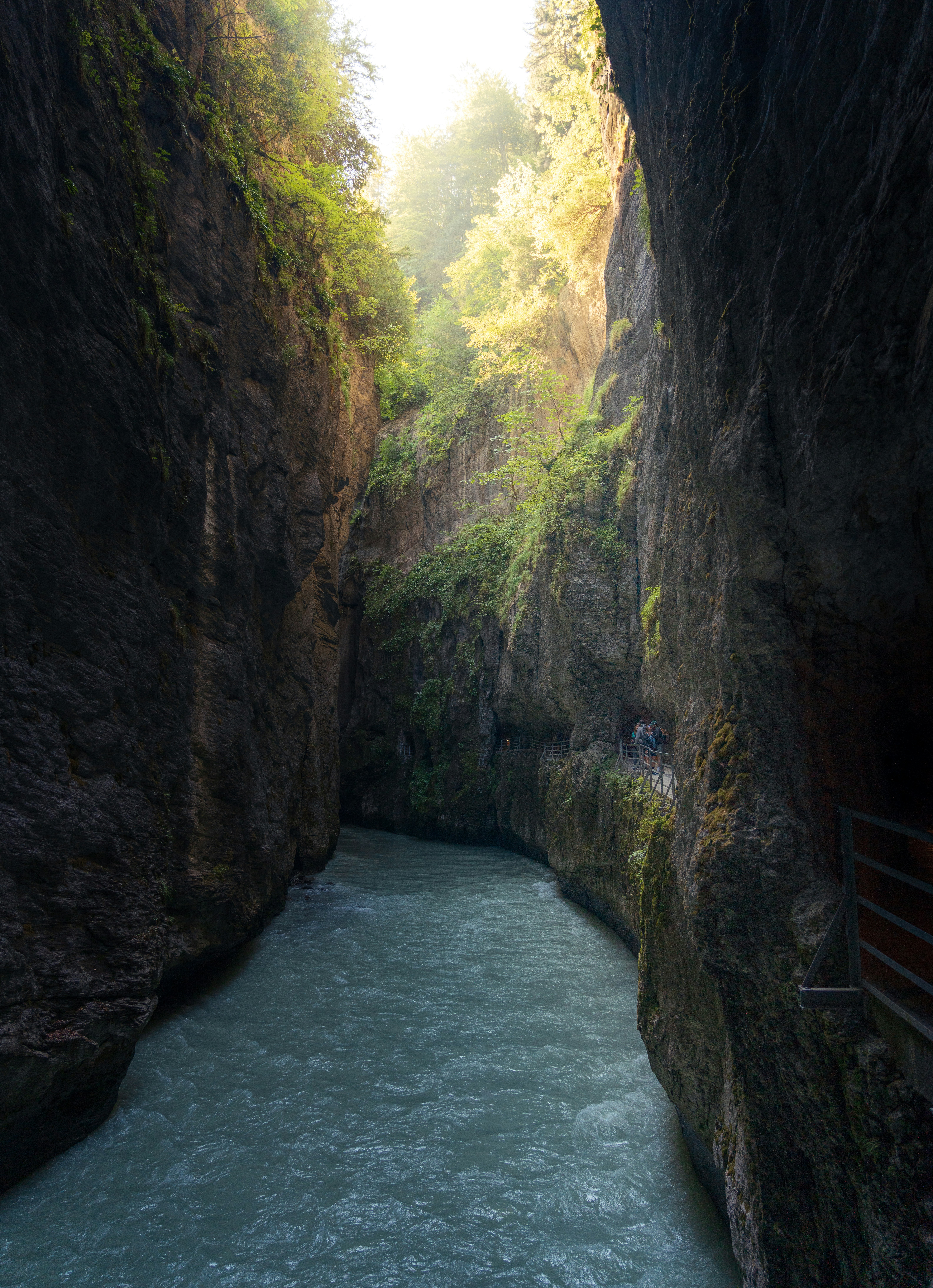 Light in the Gorge: A Narrow River Winding Between Weathered Walls
