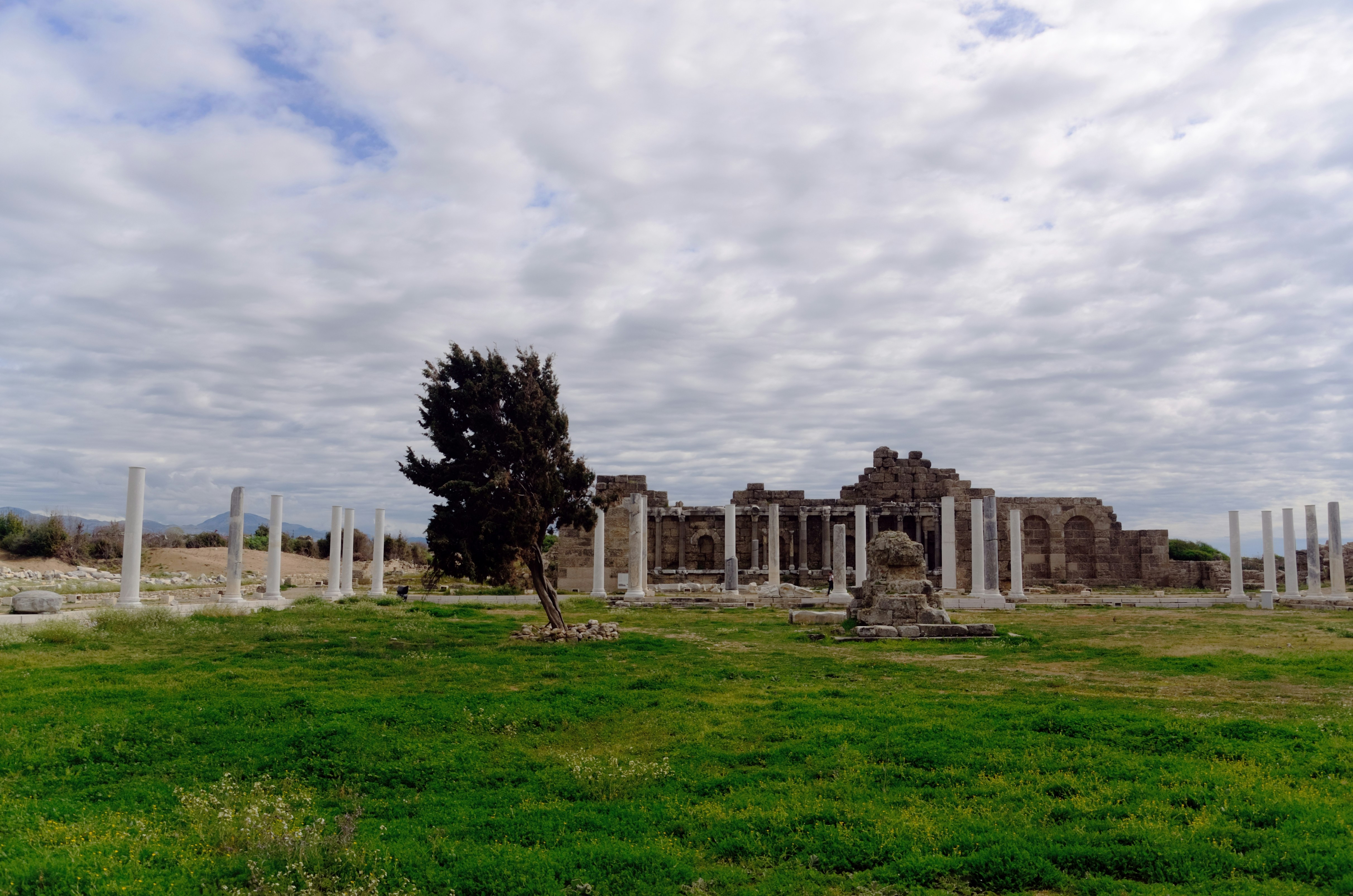 Ruins Under a Veiled Sky: Green Field Framing an Ancient Columned Horizon