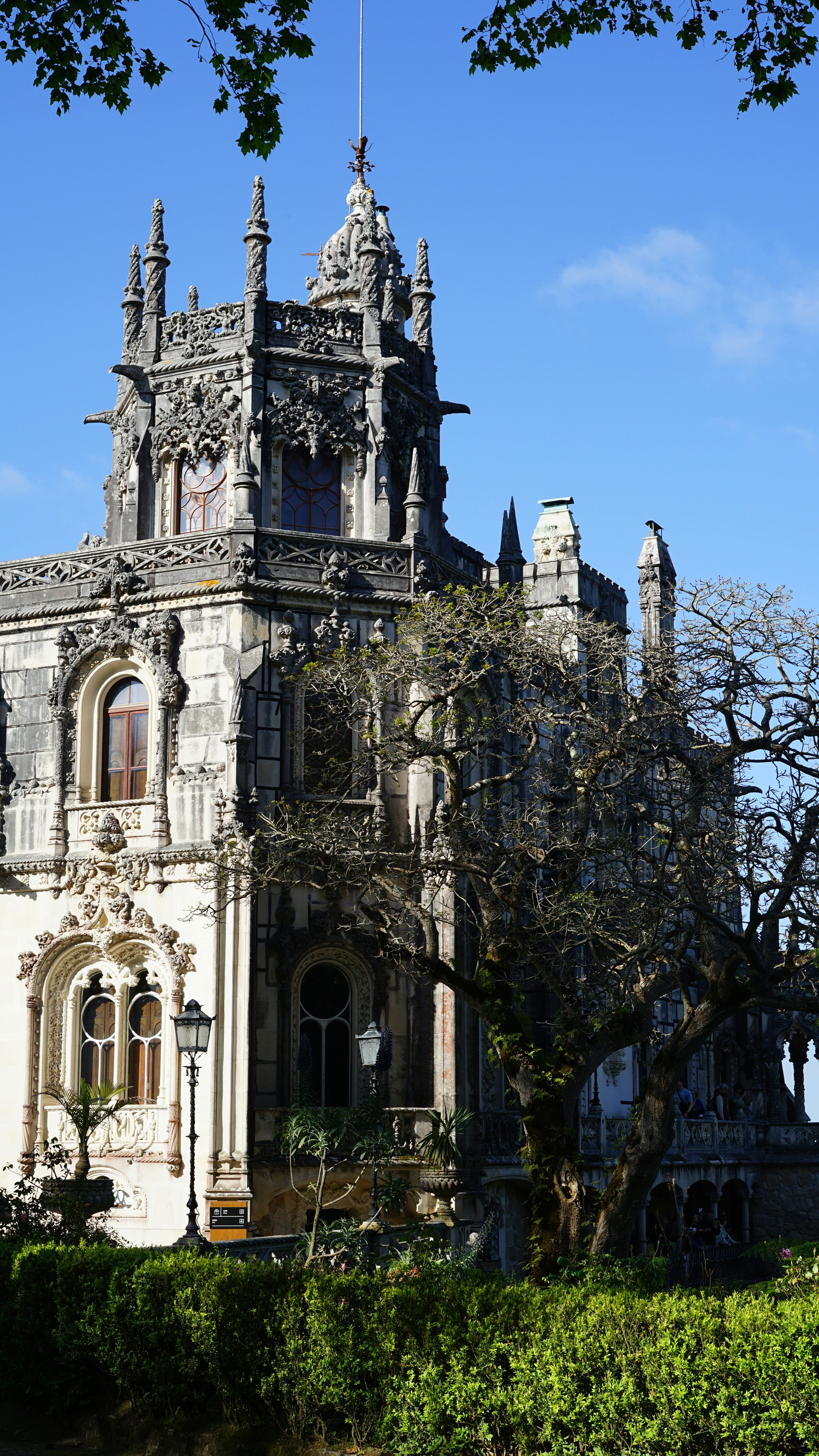 Gothic Facade in Bright Daylight