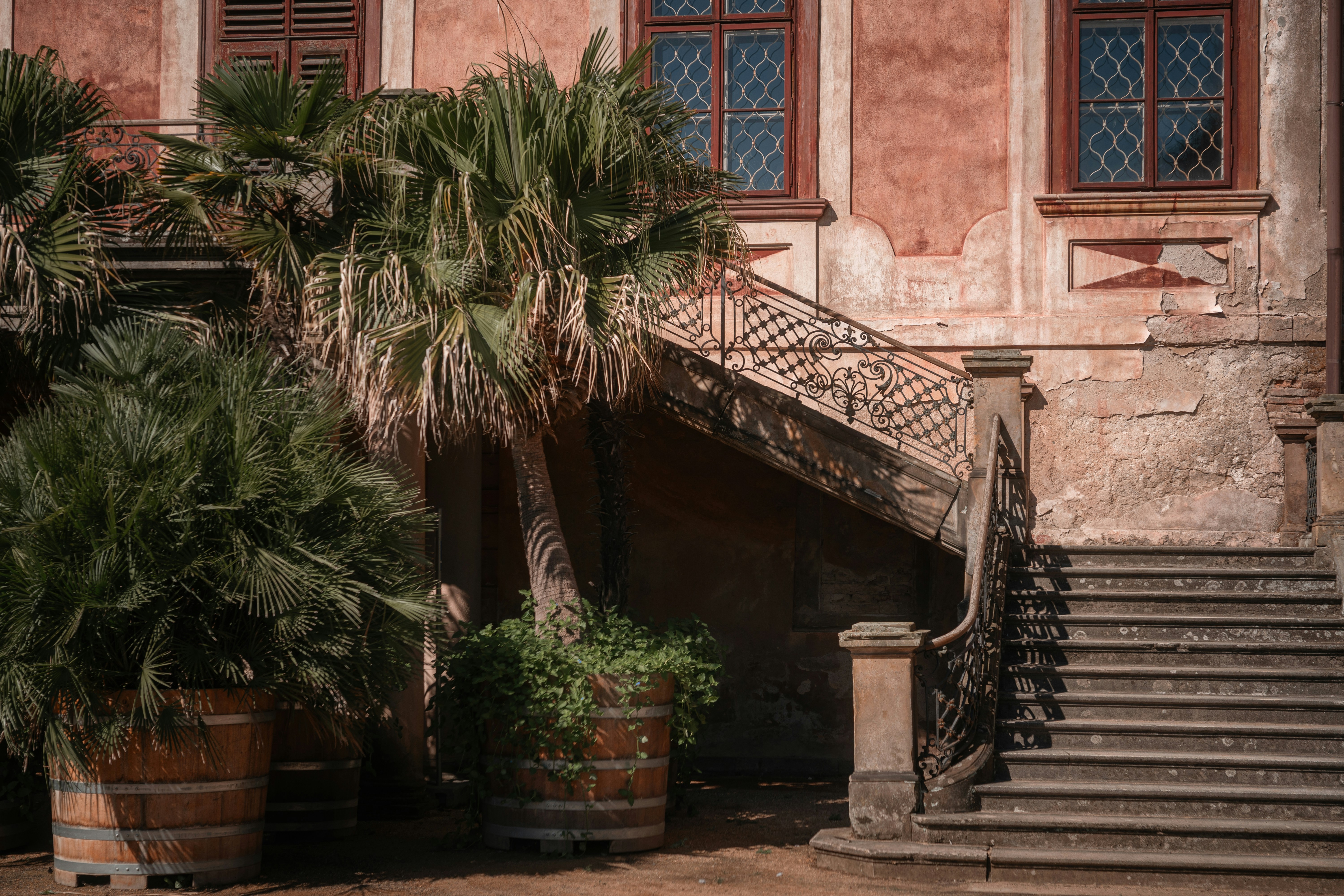 Sunlit Terrace and Stairs: Weathered Facade with Potted Palm