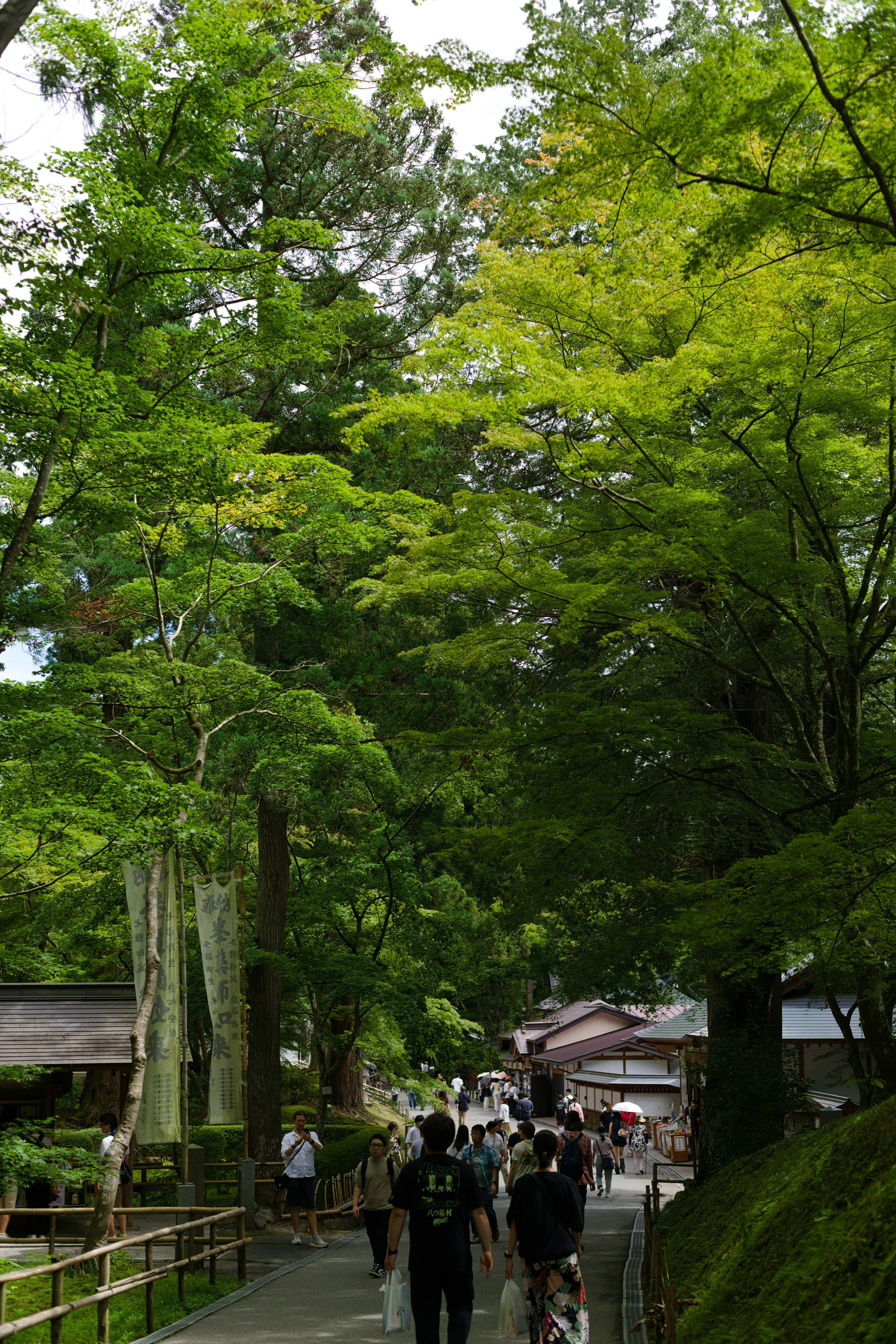 A tree-lined pedestrian path with visitors strolling beneath lush green foliage and traditional structures along both sides.