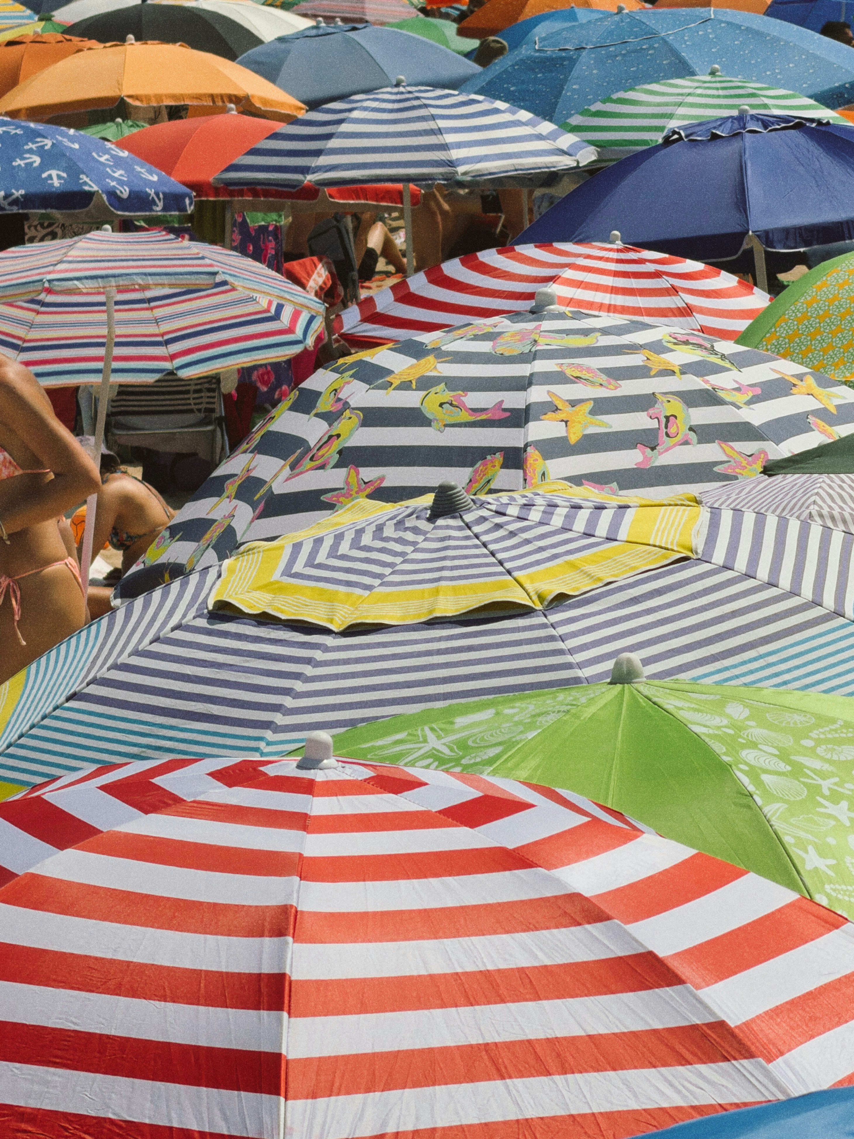 A Sea of Stripe: Colorful Umbrella Sea at the Beach