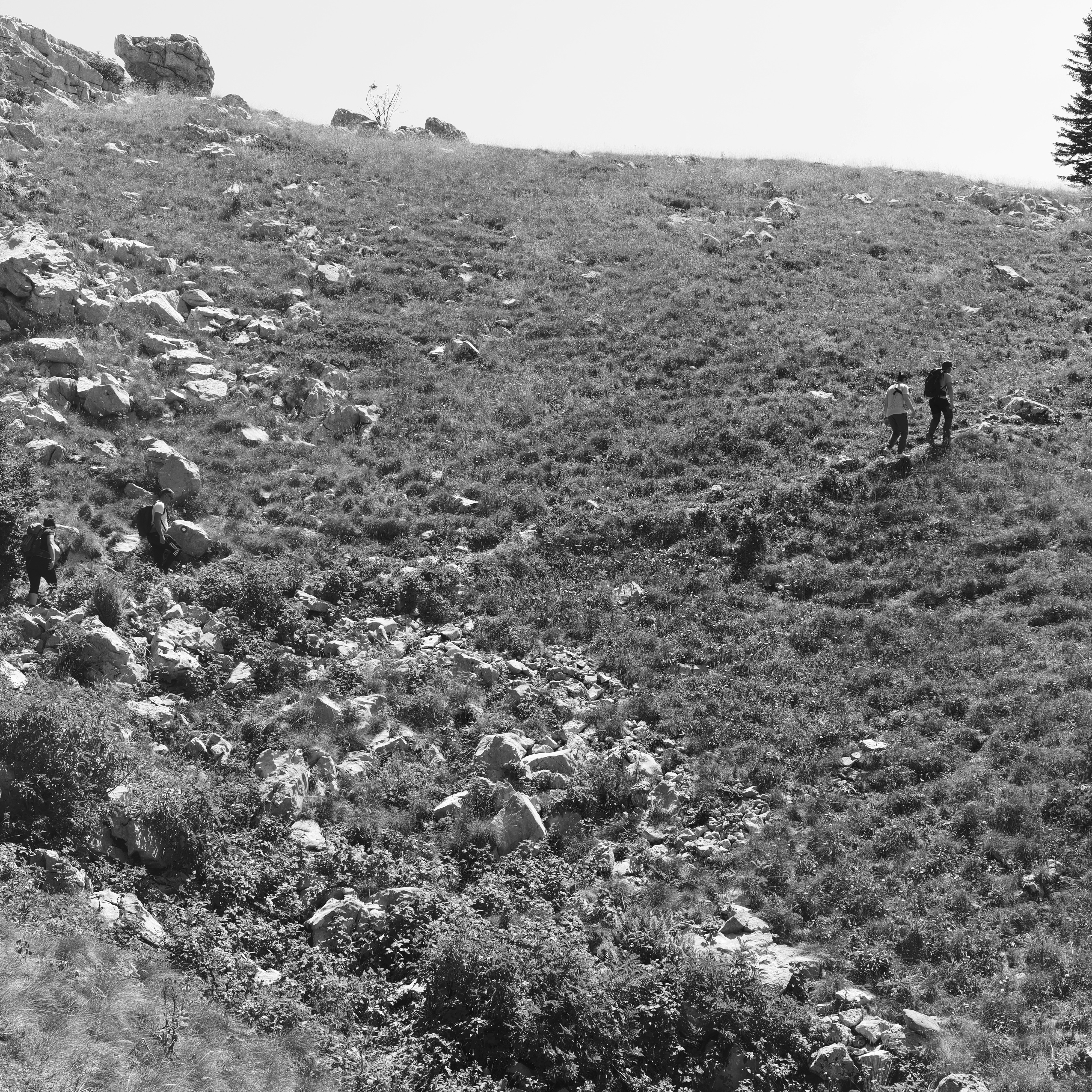 Trail of Quiet Figures Across a Rocky Slope