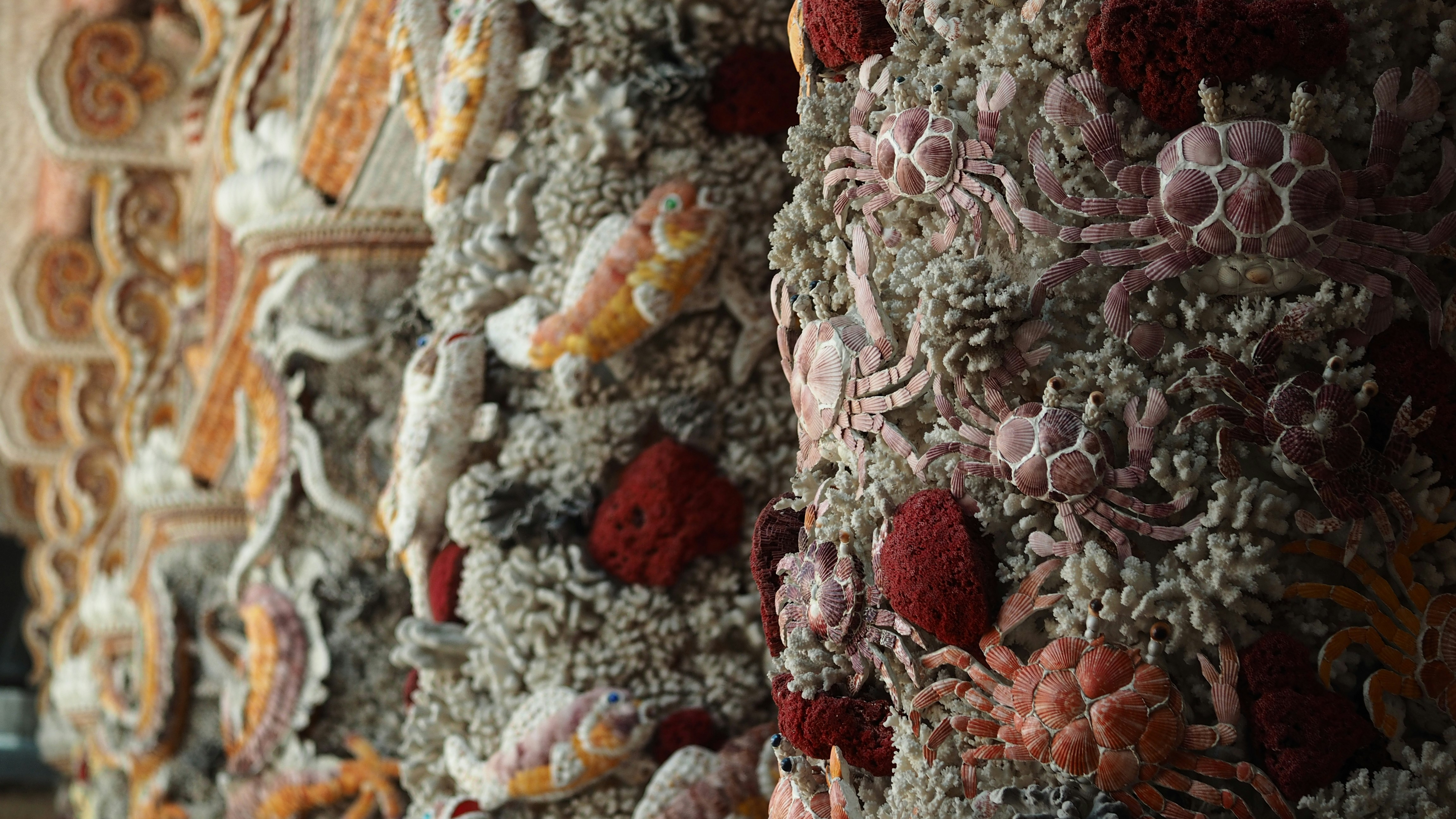 Textured Coral Facade of a Decorative Wall