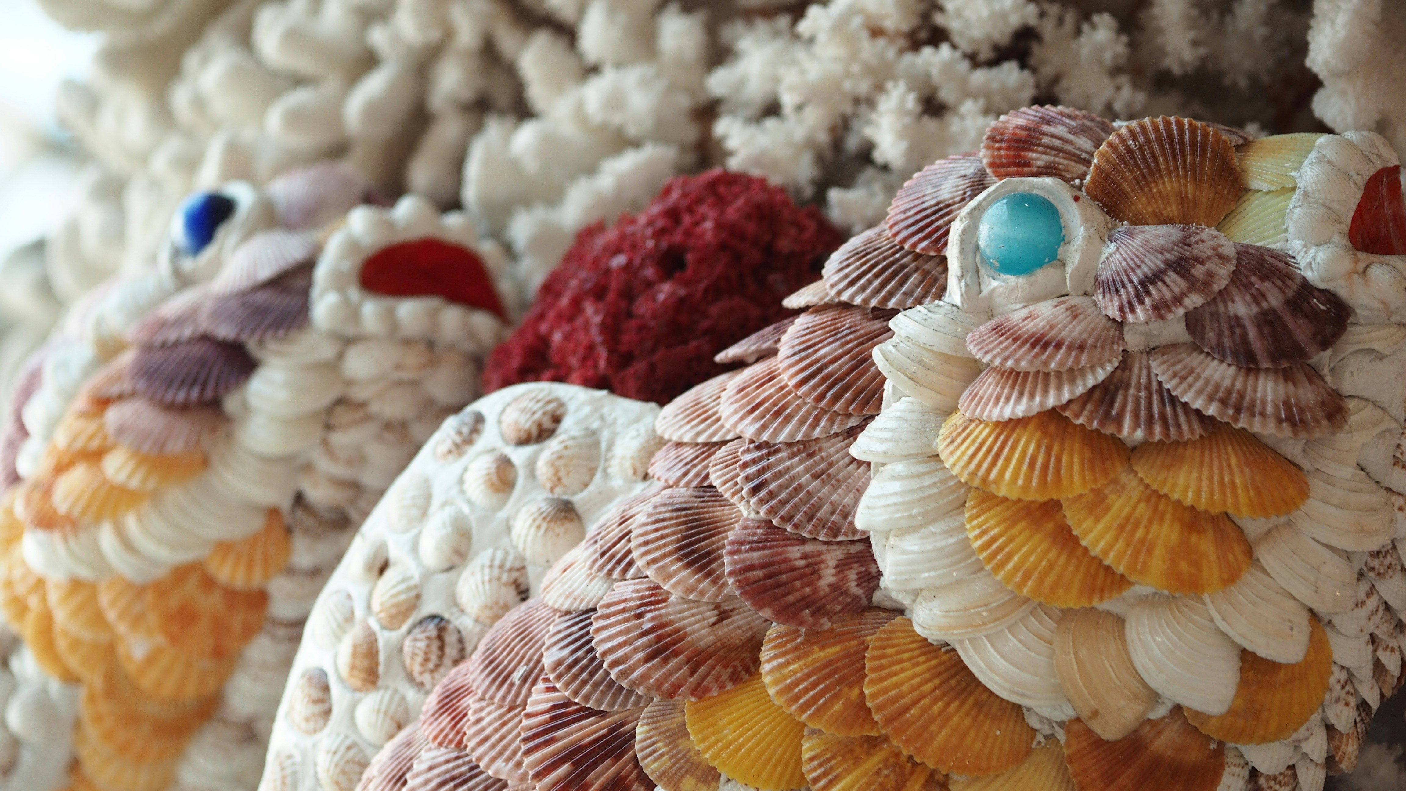 Colorful Shell Mosaic of Turban-like Sea Creatures