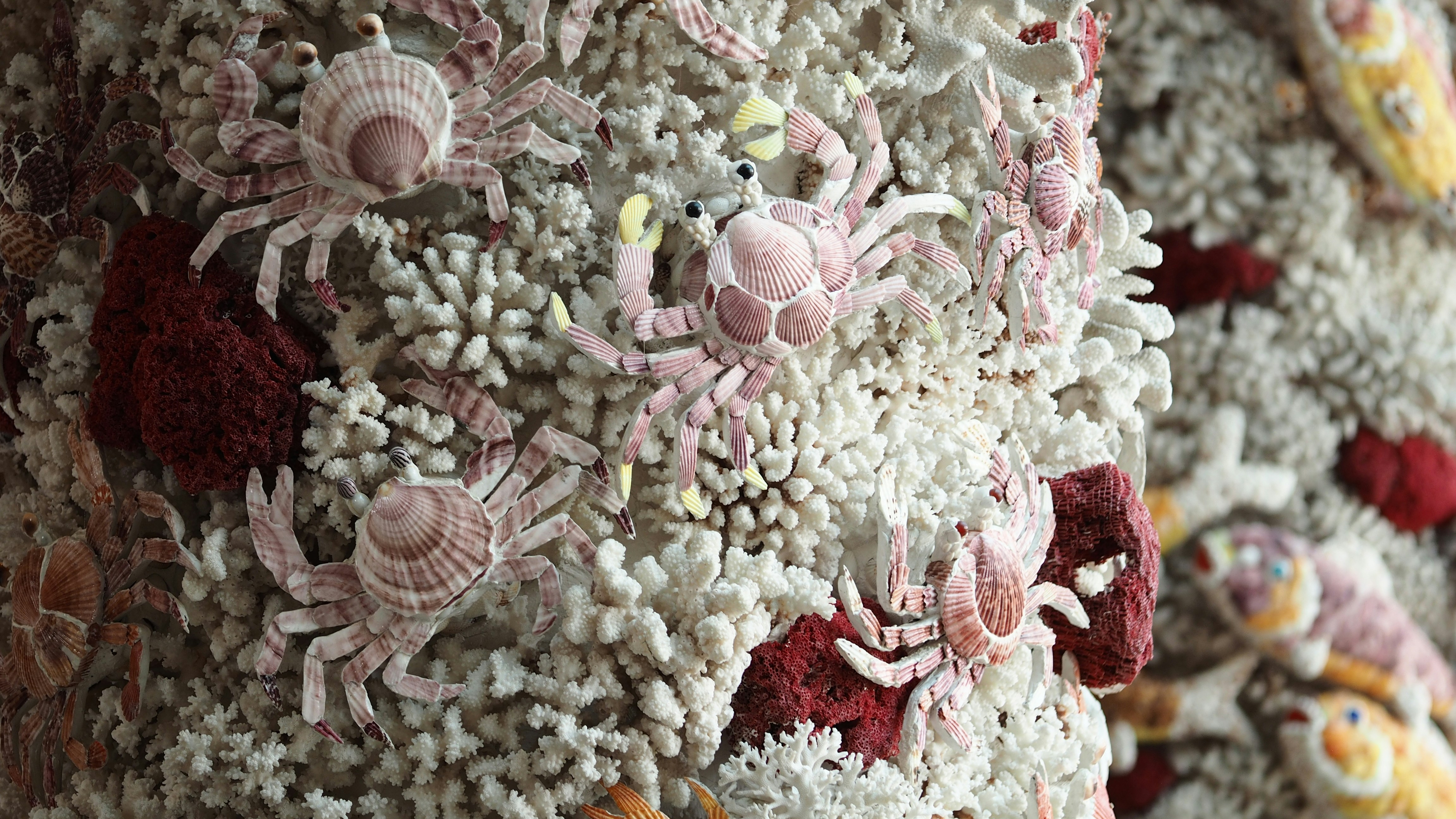 Pink-Shelled Crabs Among Coral Bloom