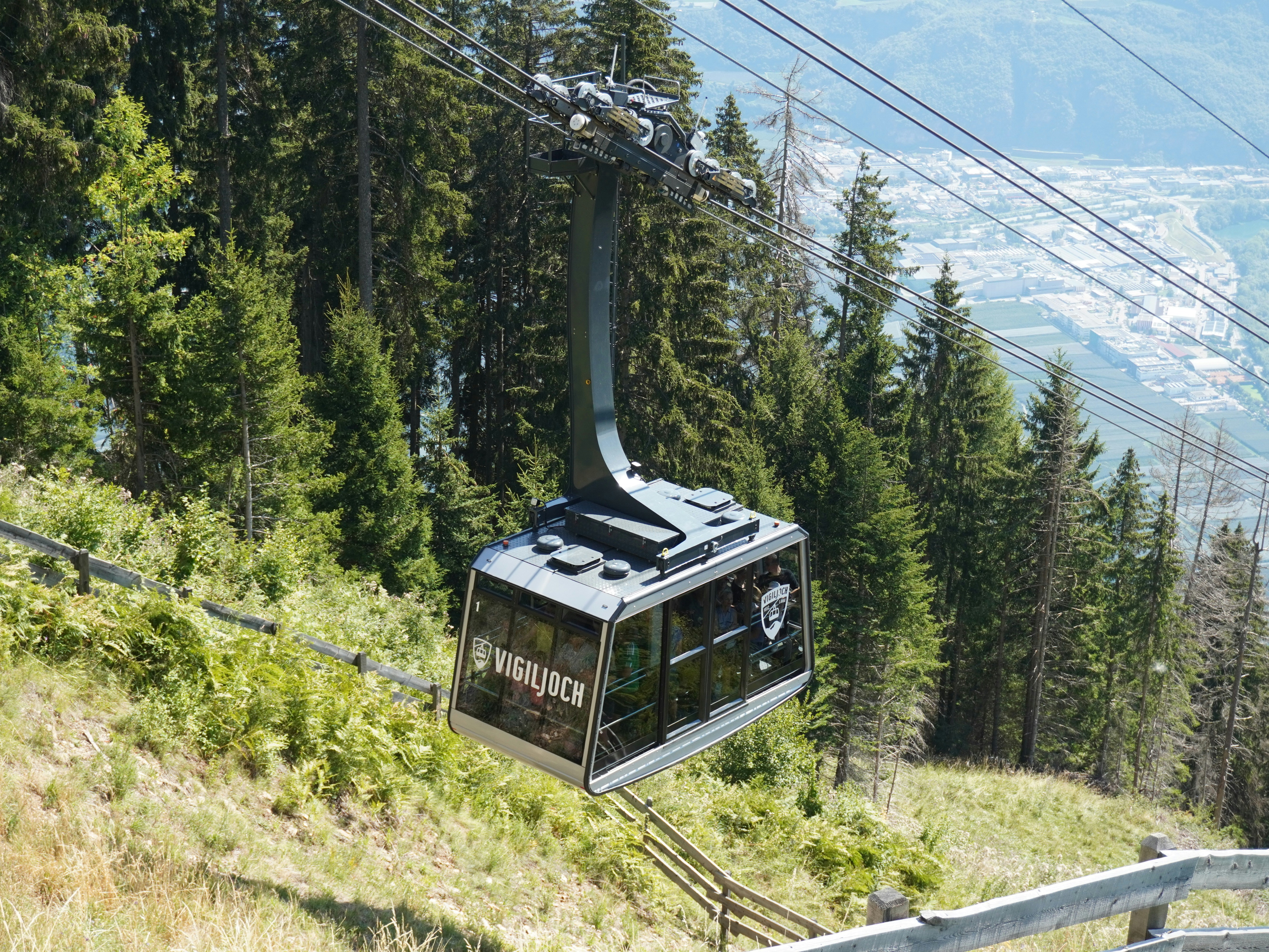 Cable Car Gliding Over Alpine Pines