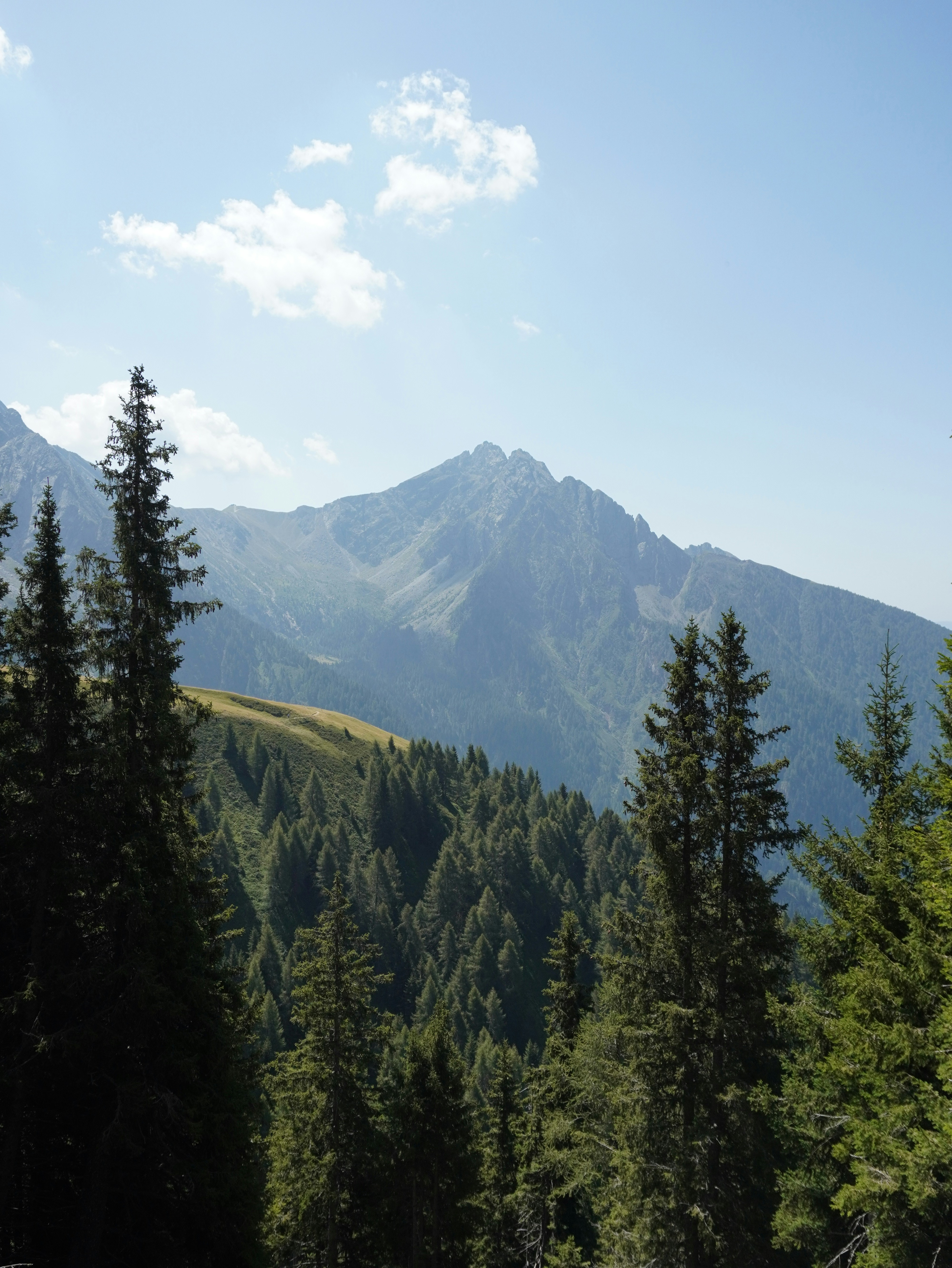Peak Crown: A Mountain Backbone Over a Forested Valley