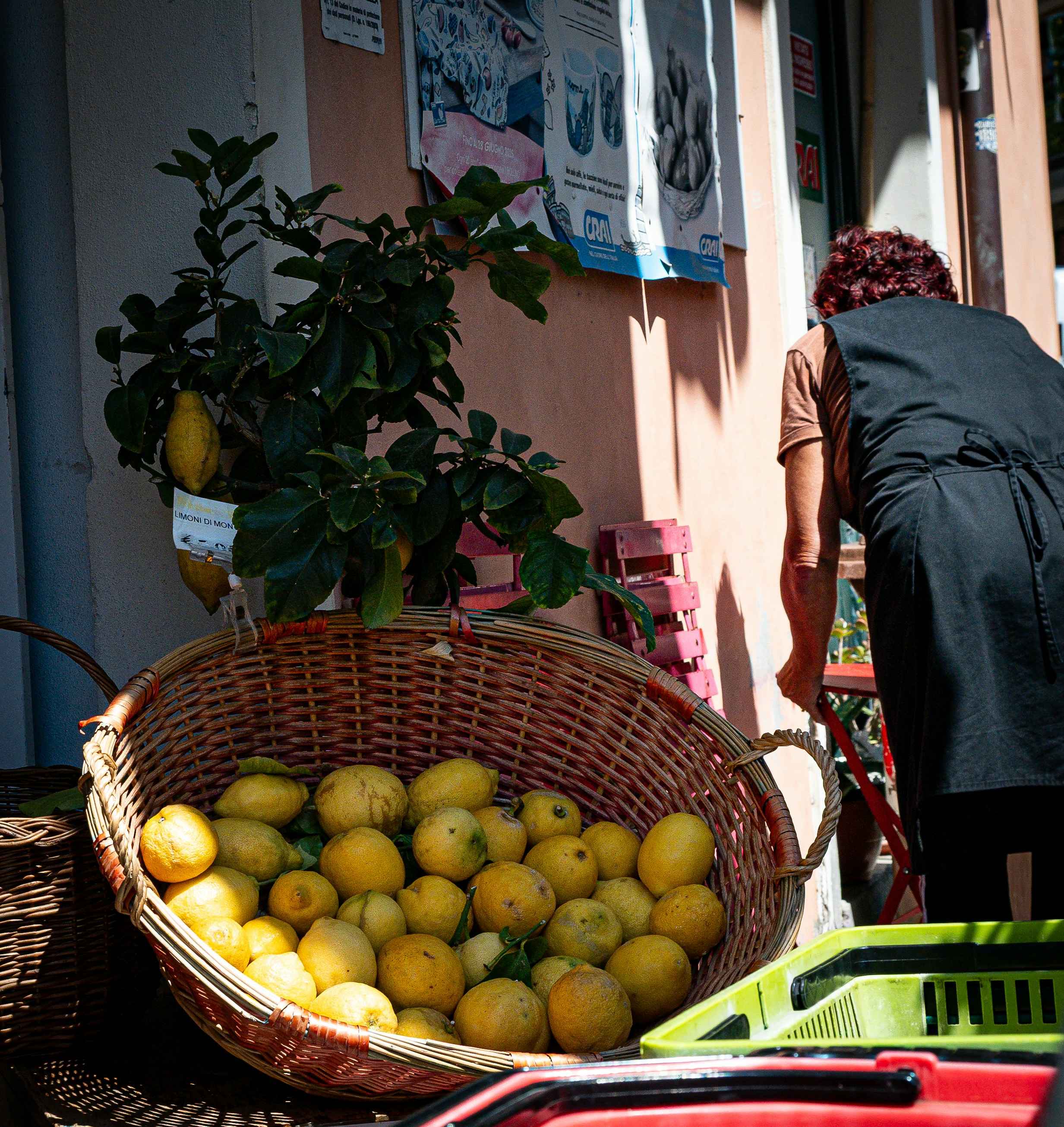 Basket of Lemons by a Sunlit Street Stand
