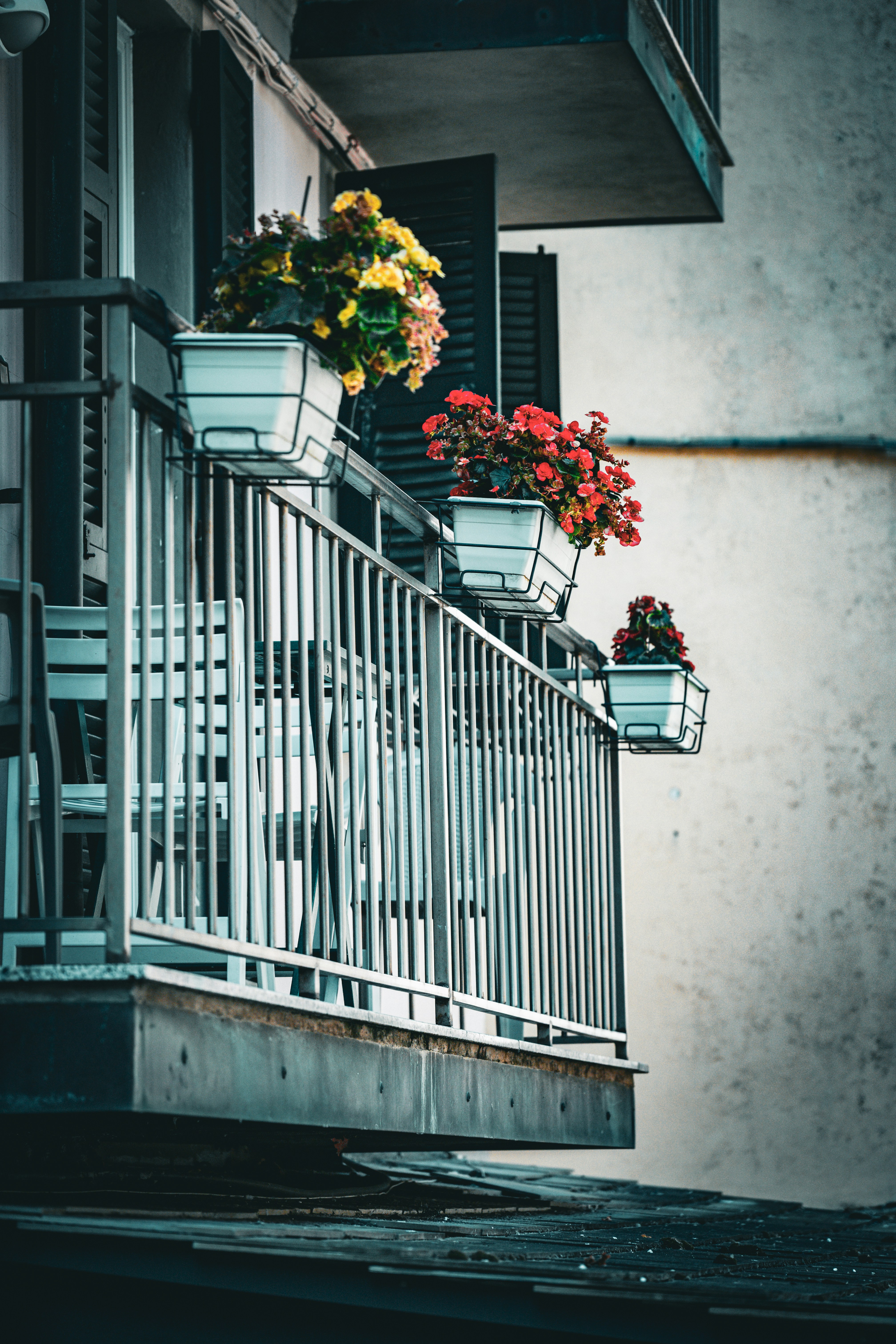 Balcony Blooms: A Corridor of Color Along the Railing