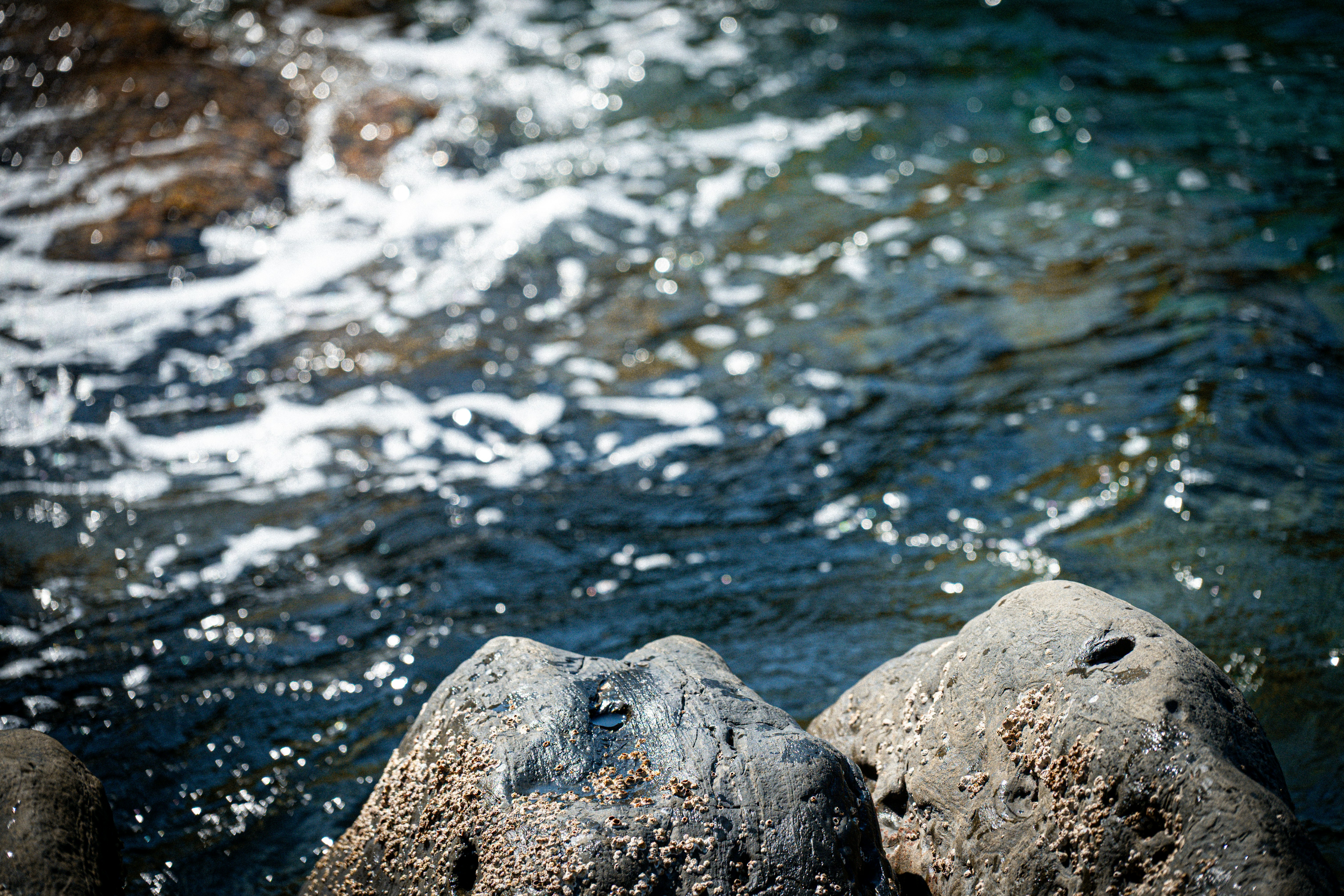 Stone Sentinels at the Edge: Quiet Breakers by the Sea