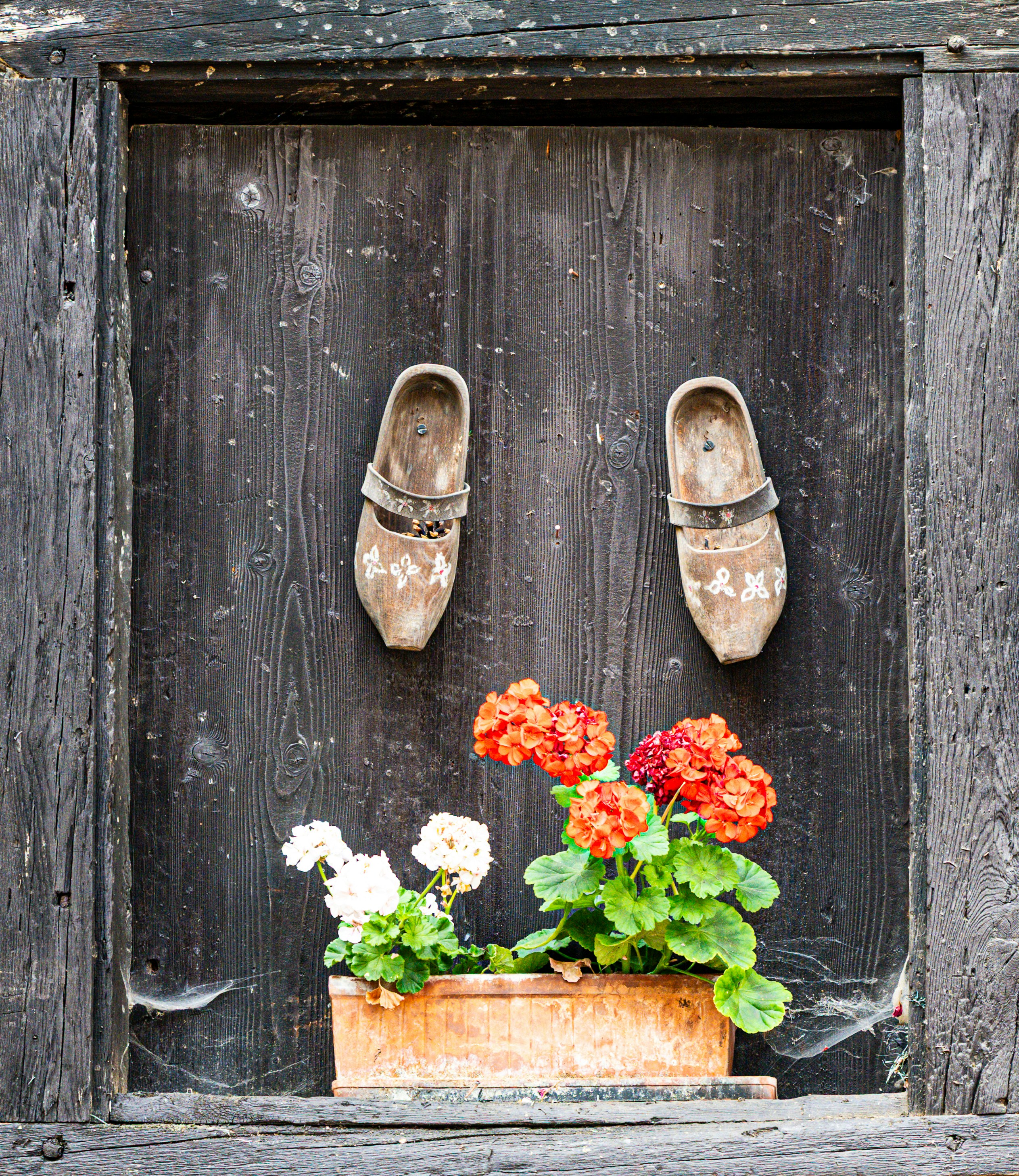 Weathered wooden doorway with hanging clogs and potted geraniums