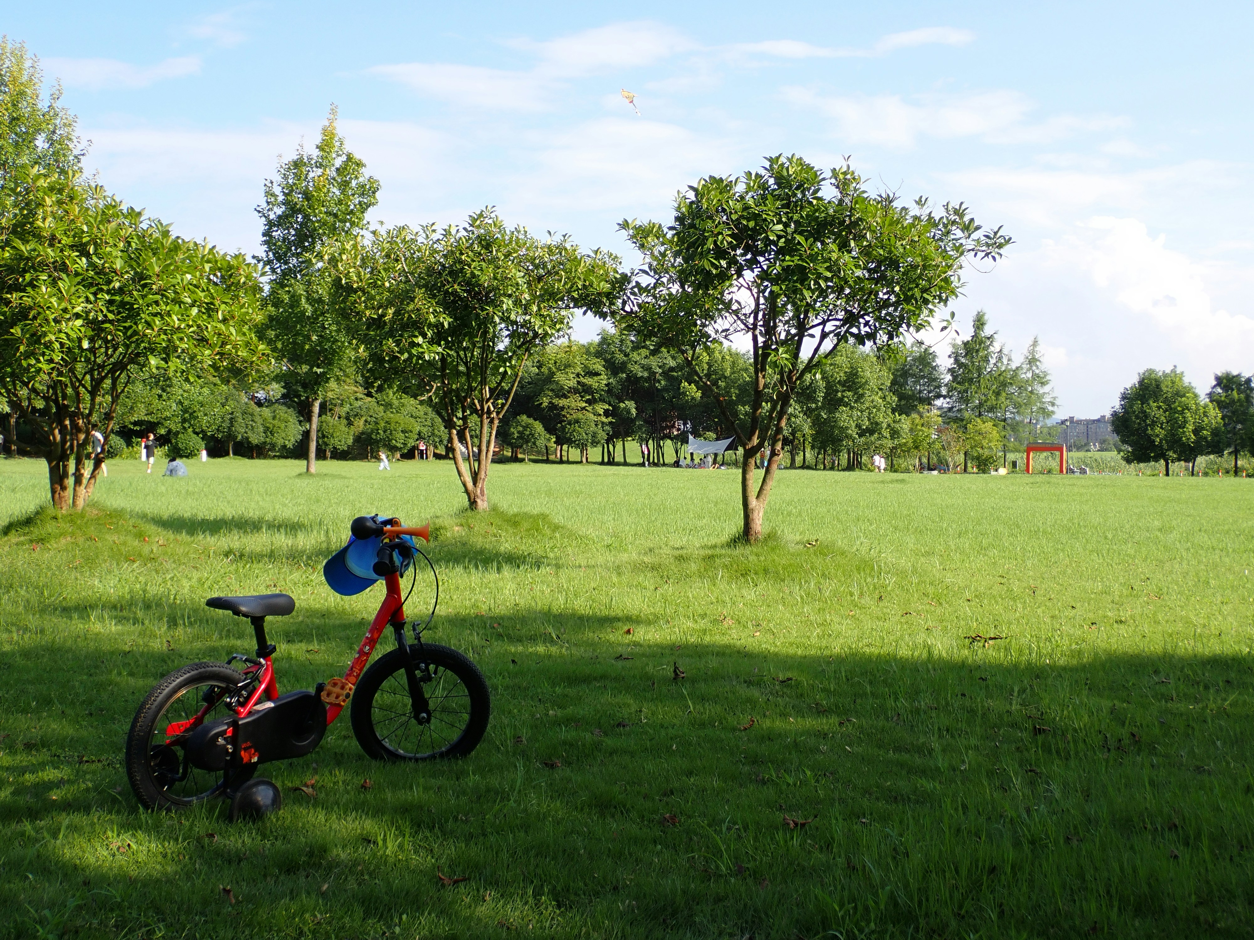 A red children's bike parked on a grassy park with scattered trees and a bright blue sky, conveying a calm outdoor scene.