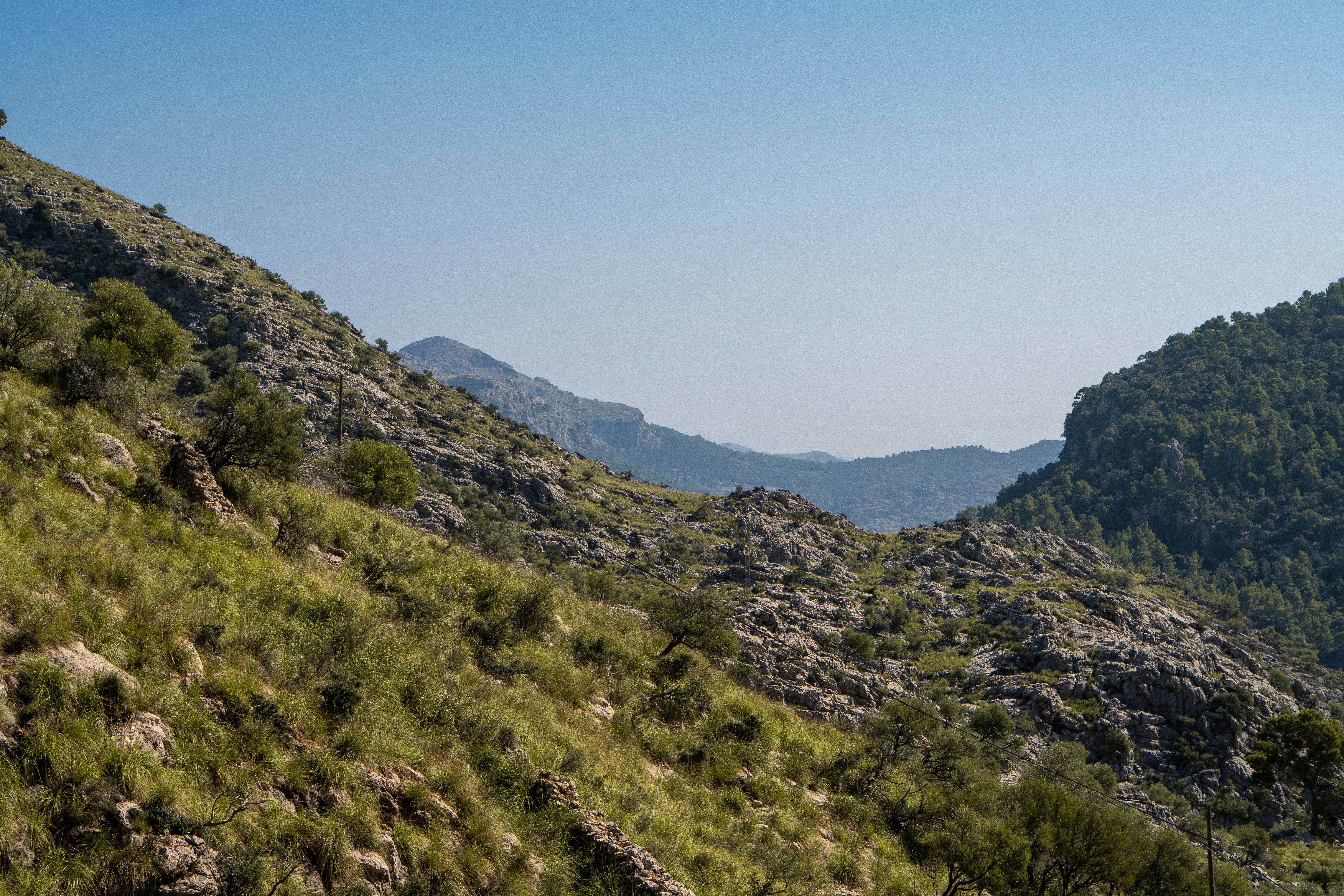 Sunlit Ridge: A Quiet Panorama of Rocky Slopes and Sparse Scrub