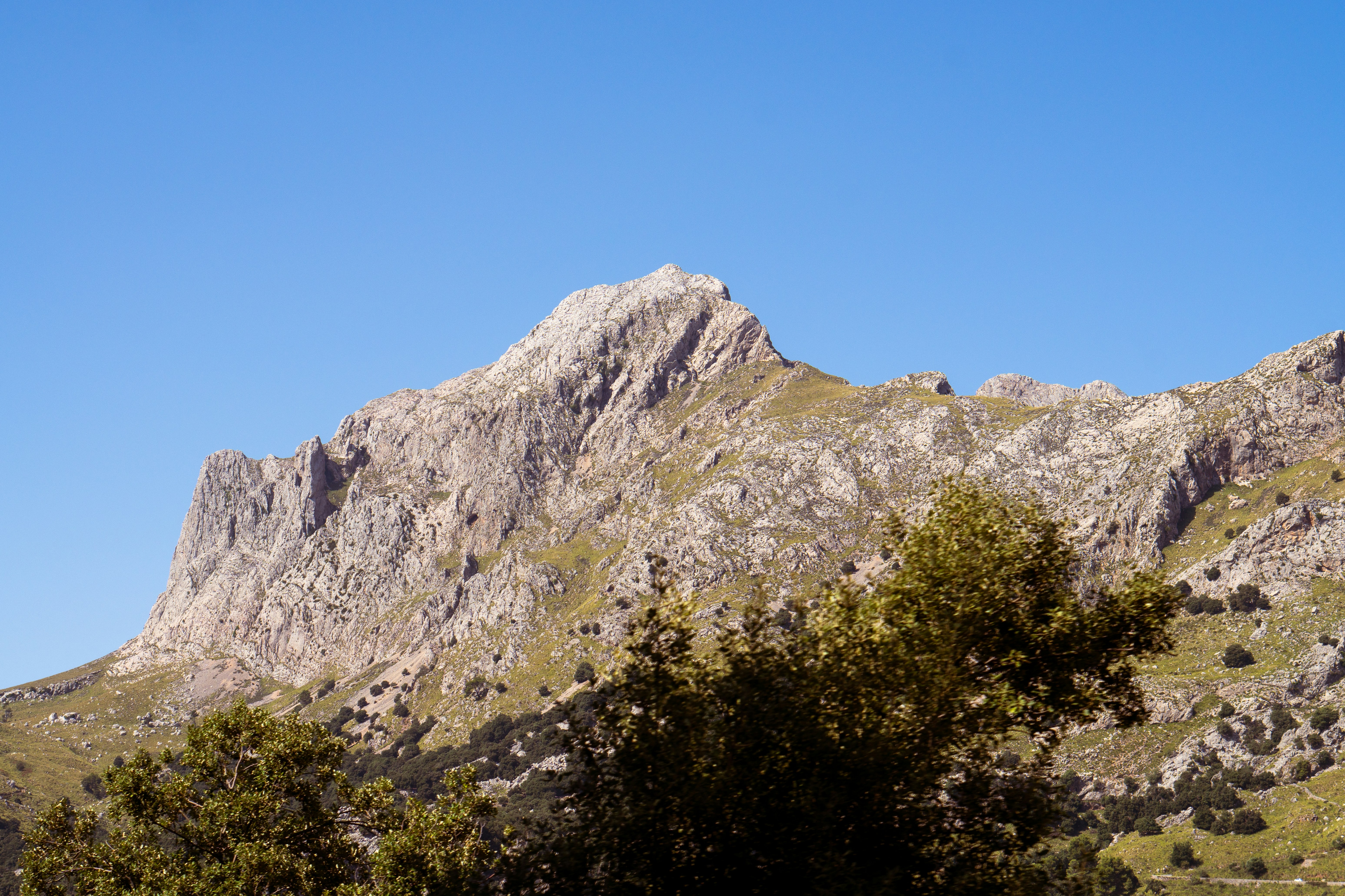Mallorca Summer