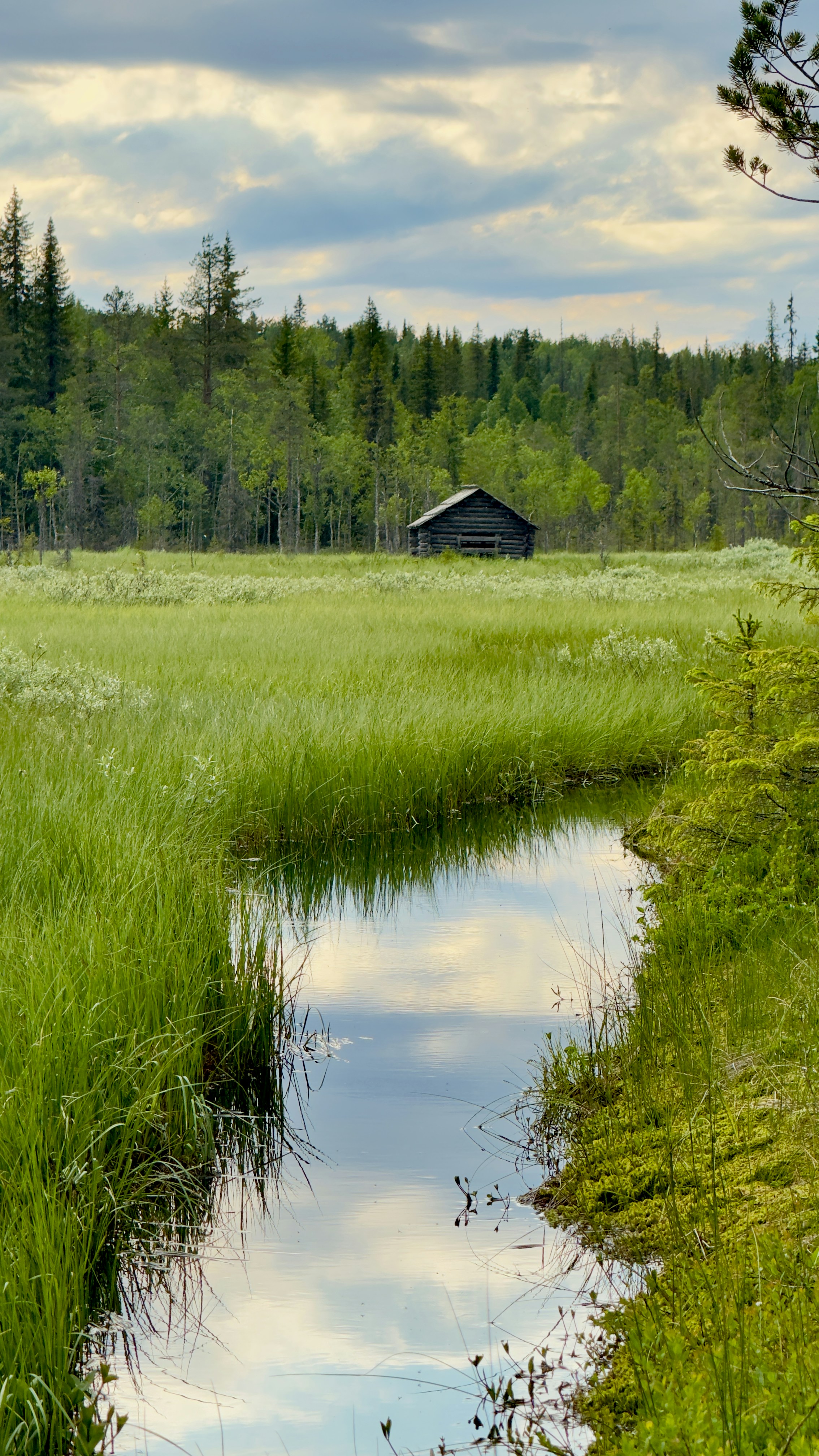 Meadow Canal to a Cabin Silent Under Wide Sky