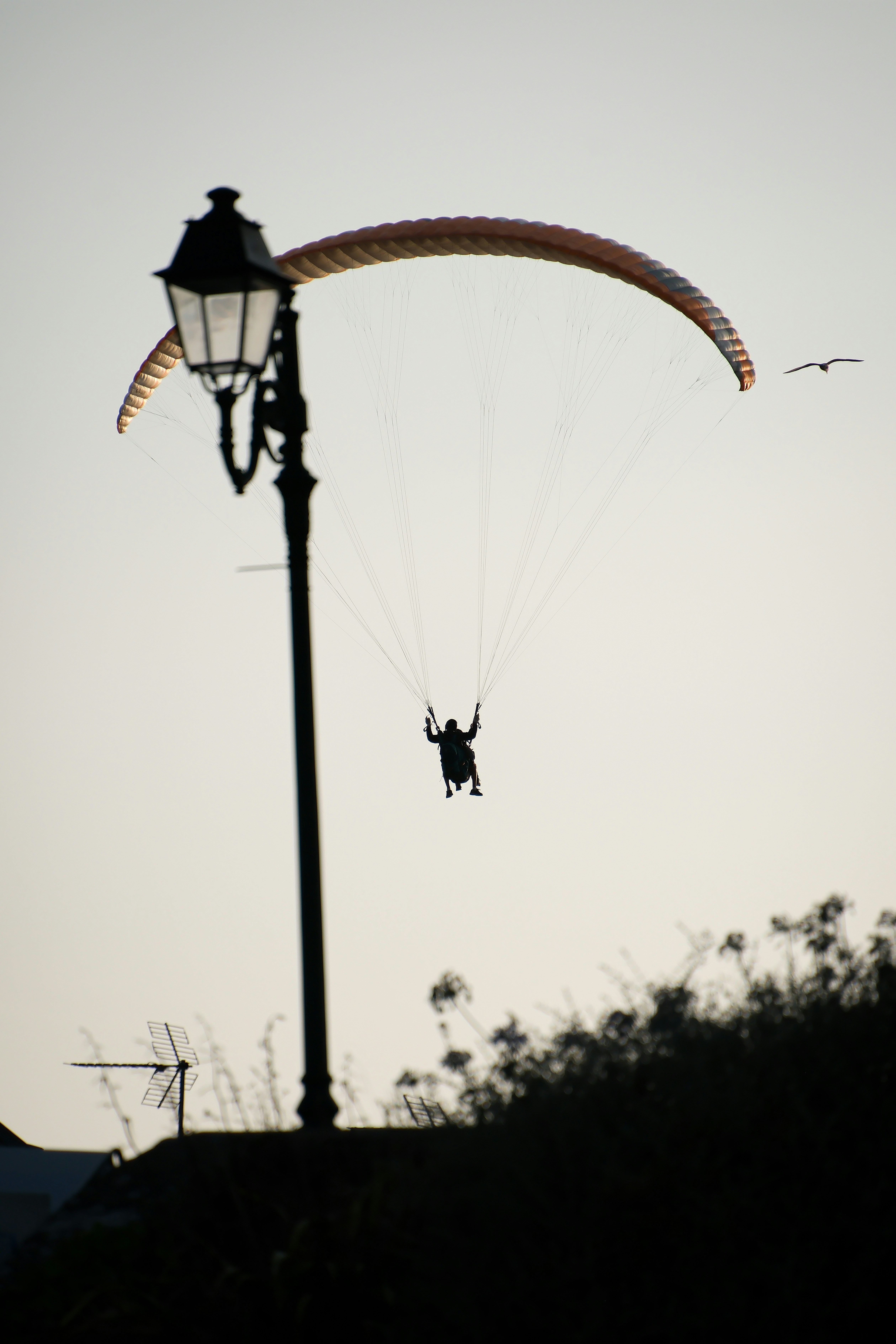 Parachute Duo: Lantern-Shadowed Descent Above a Quiet Horizon