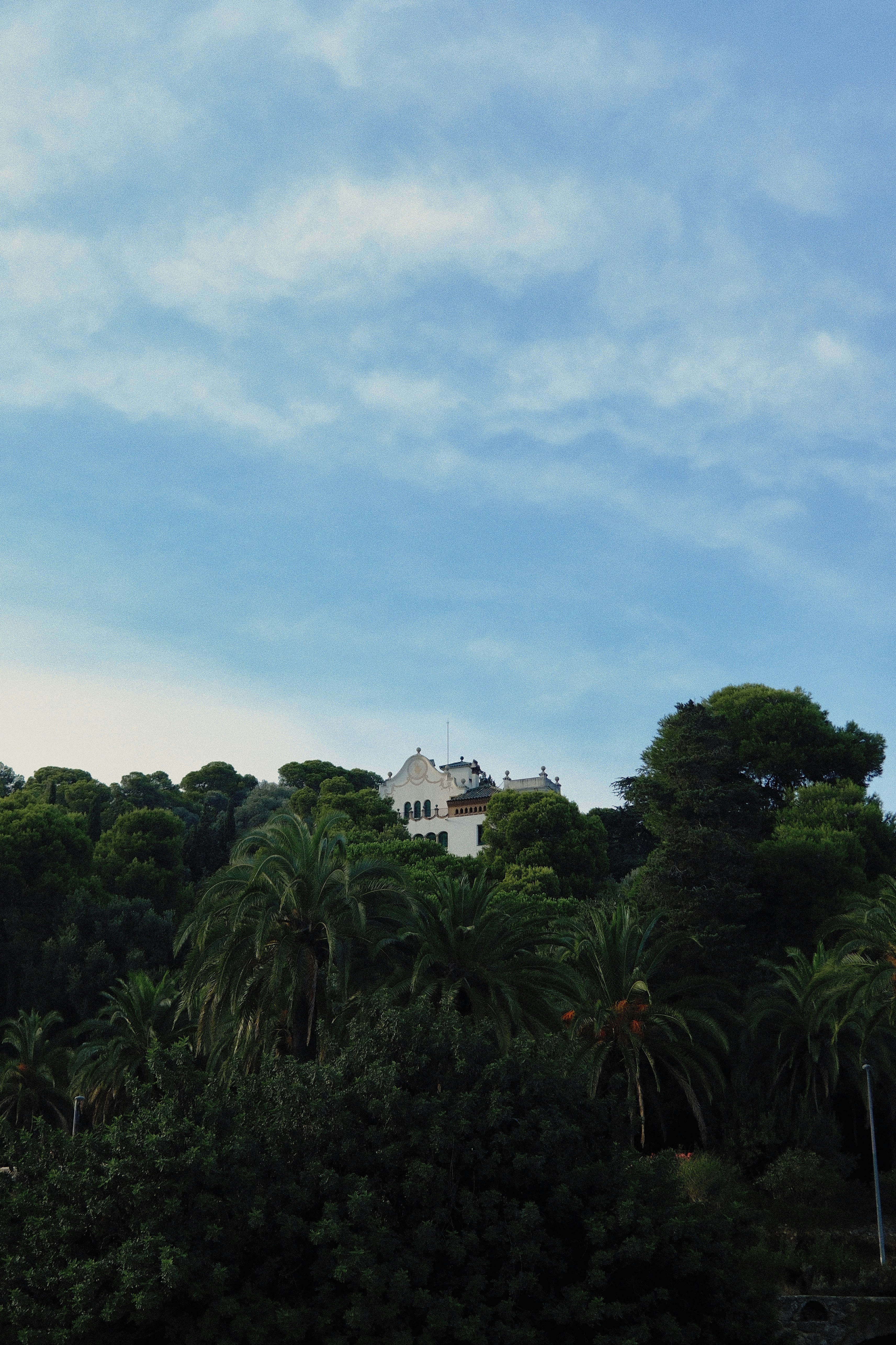 Hilltop Villa Rising Above Palm Canopy Under a Broad Blue Sky