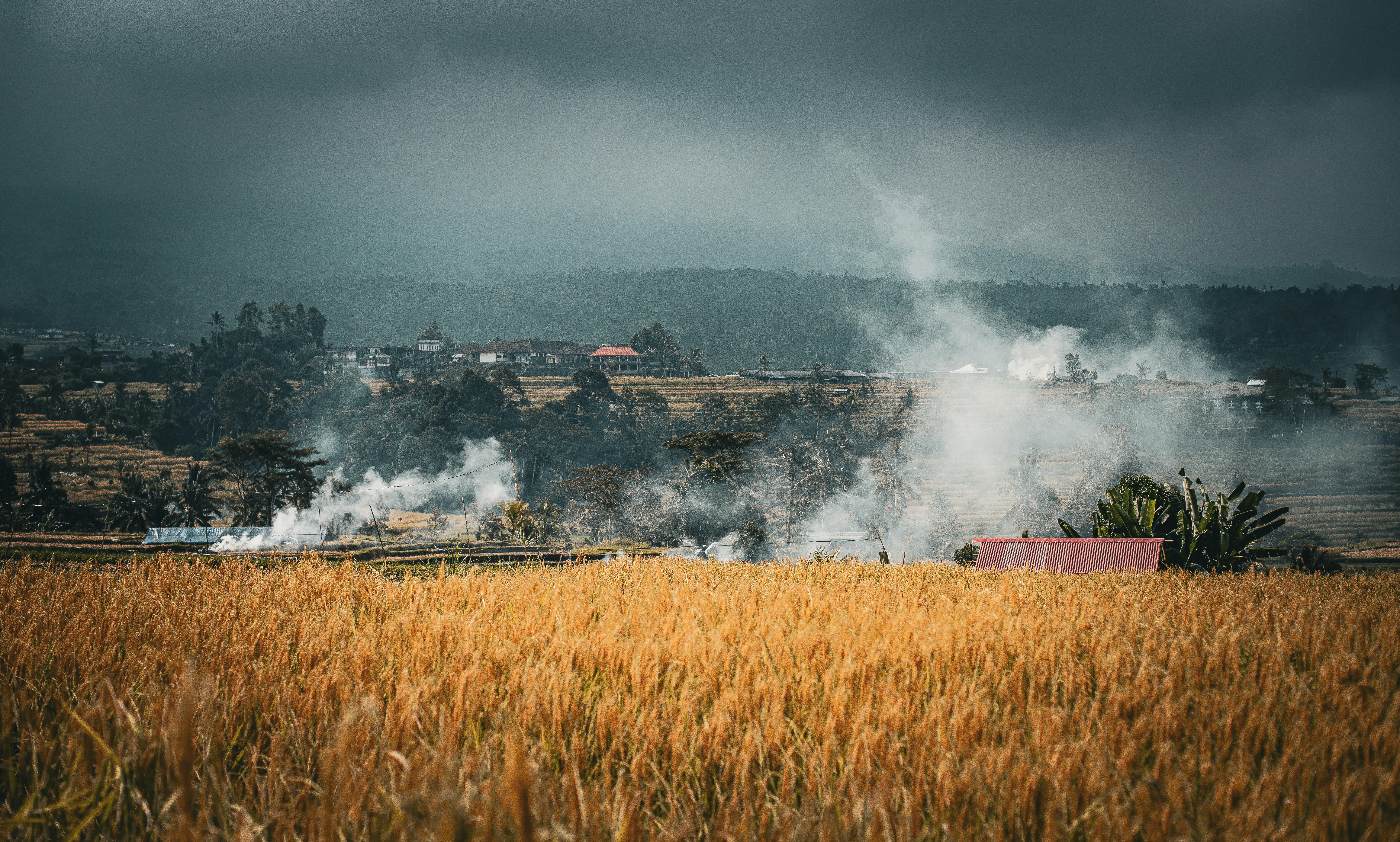 Field of Fire: Smoke over a Rural Horizon