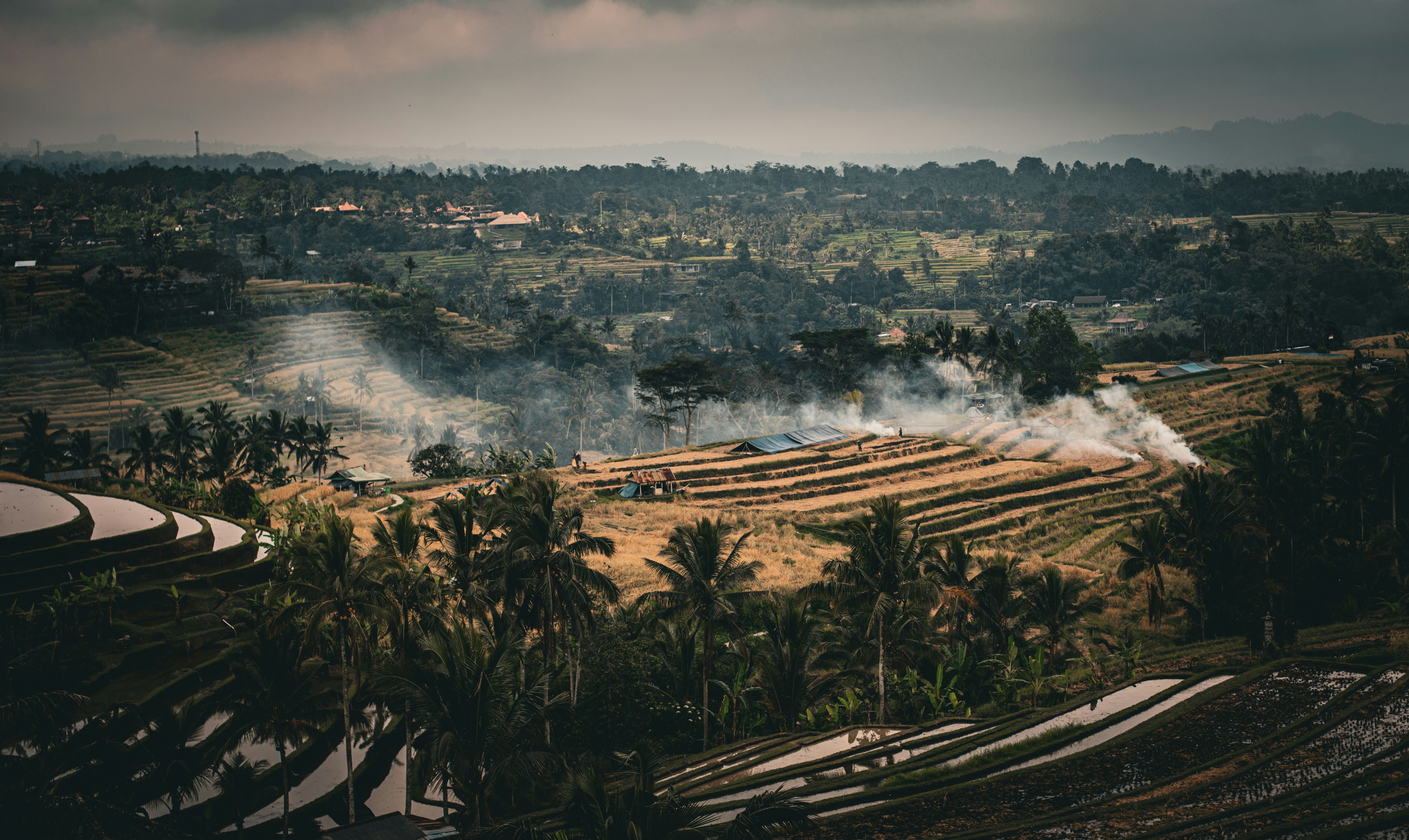 Smoke over terraced fields under a muted sky