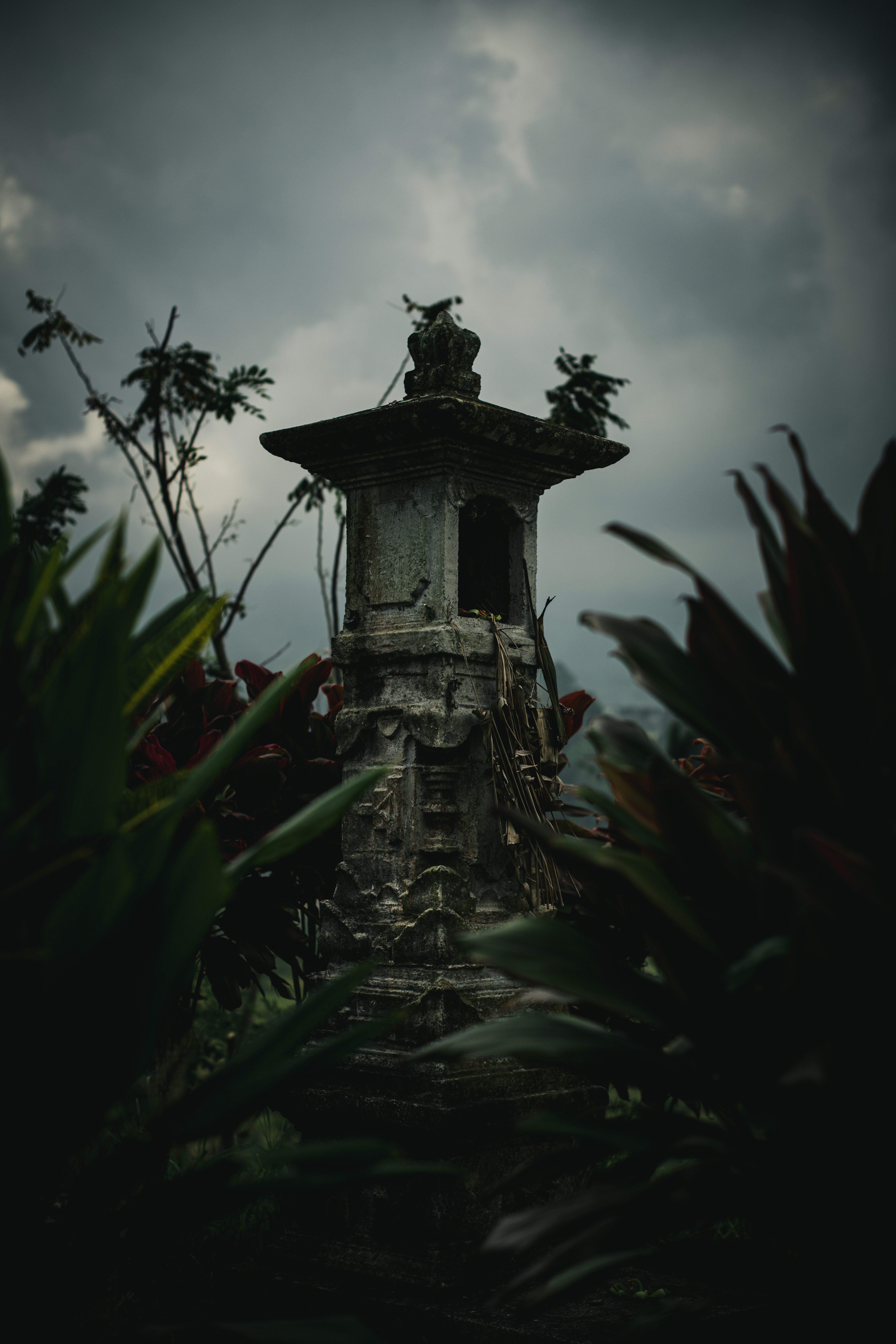 Weathered Lantern Tower Emerging from Nightshade Reach