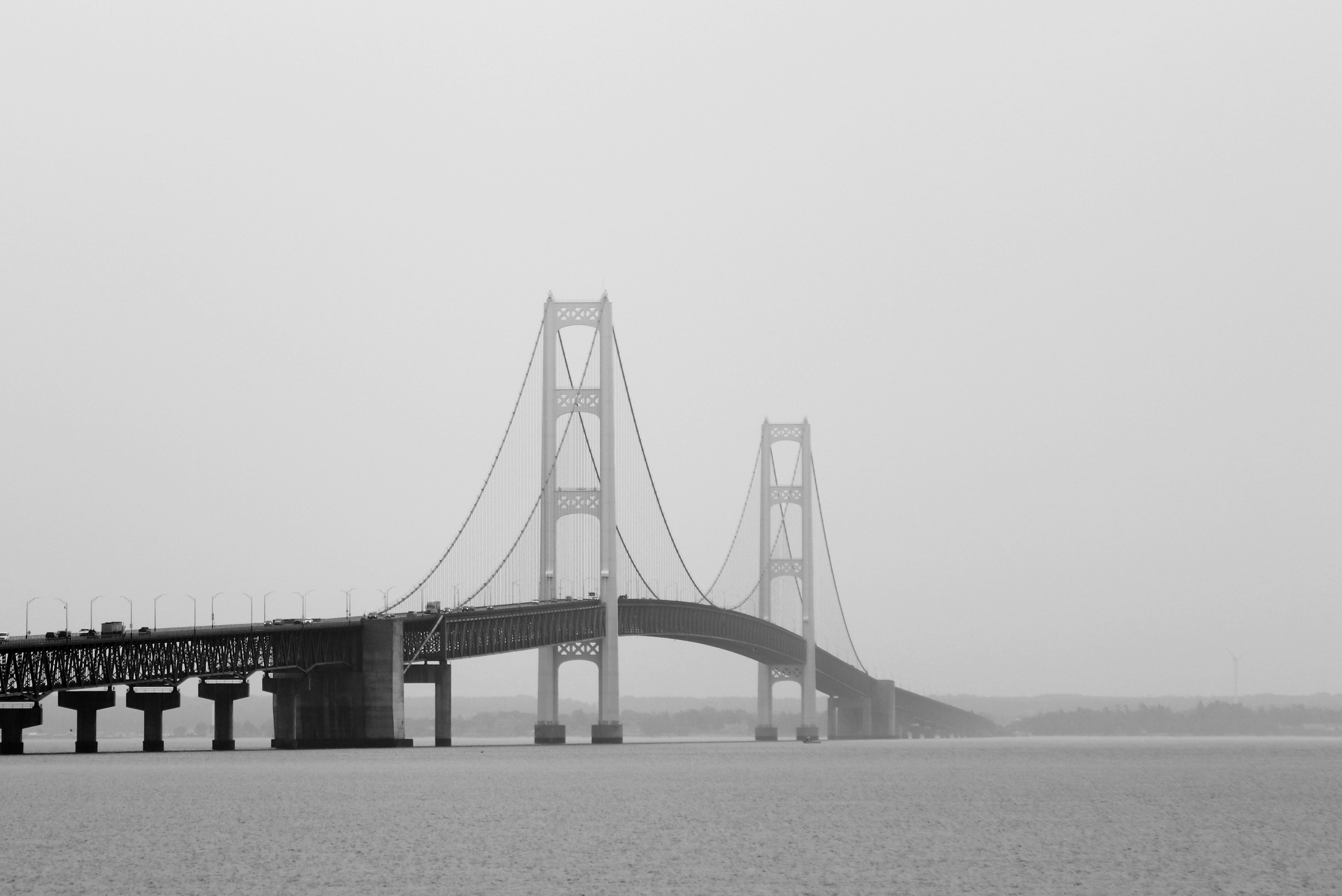 Suspended Giants Over Quiet Water