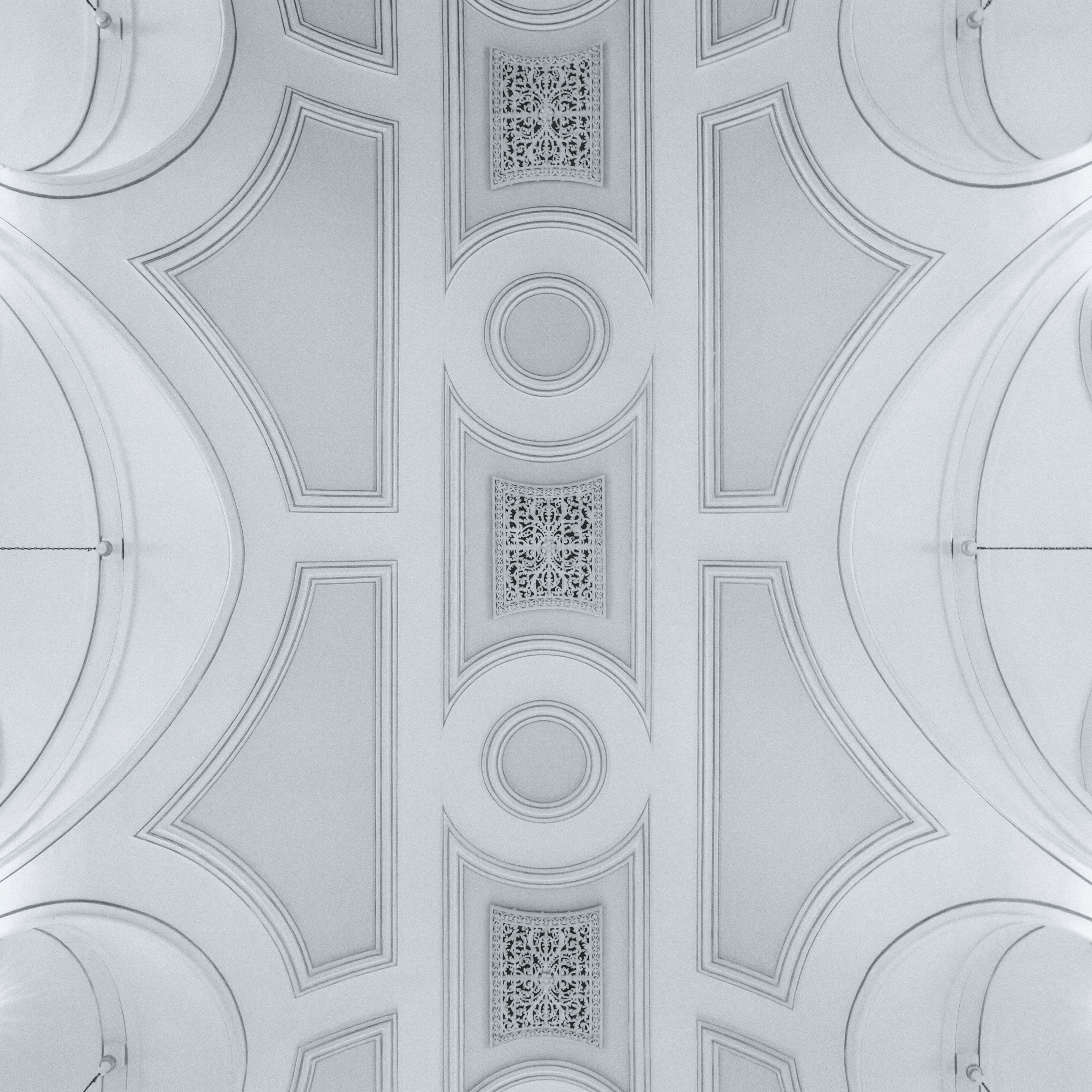 Symmetrical Vault: Intricate Ceiling Panels in Monochrome