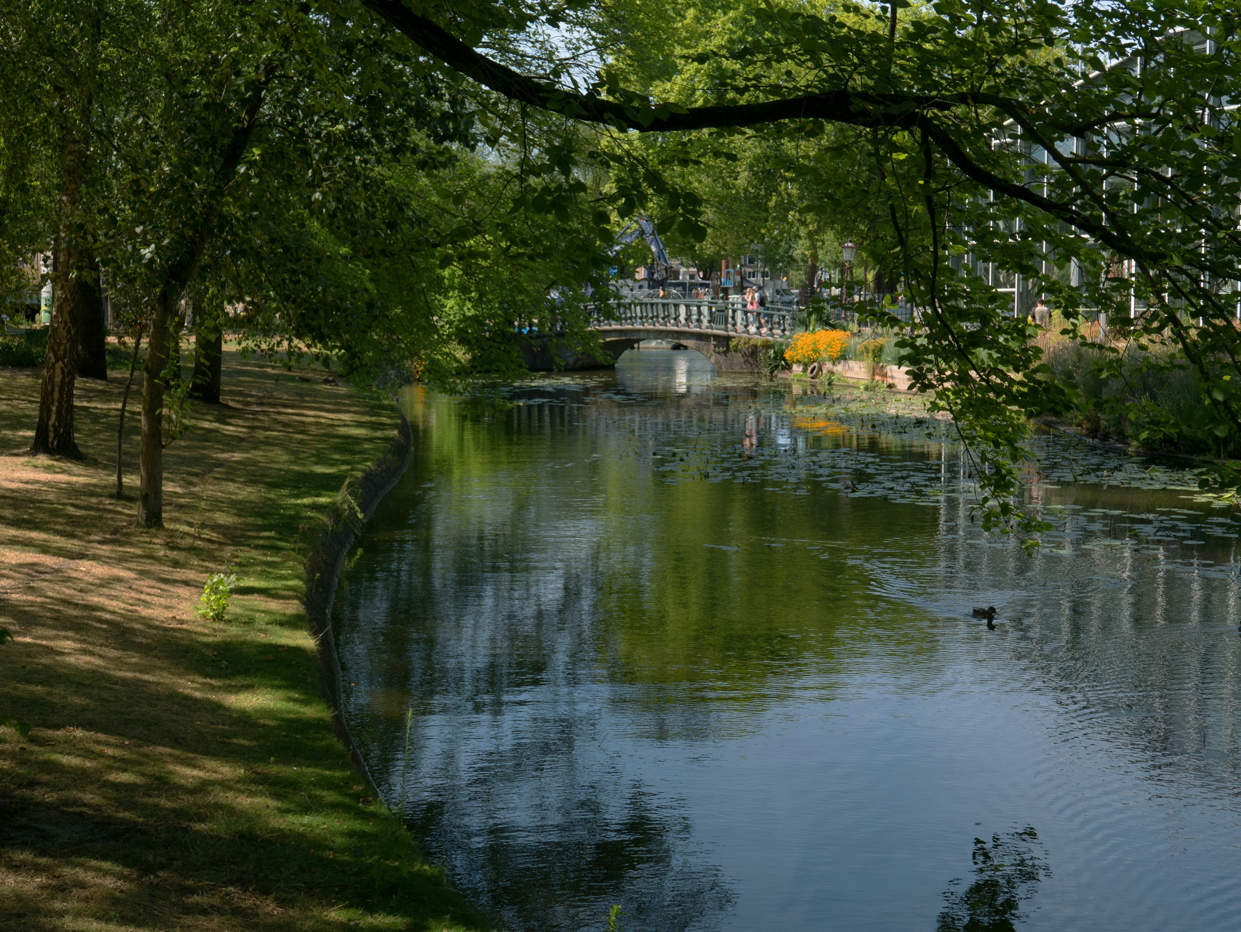 Quiet River Bend: Trees, Bridge, and Reflections