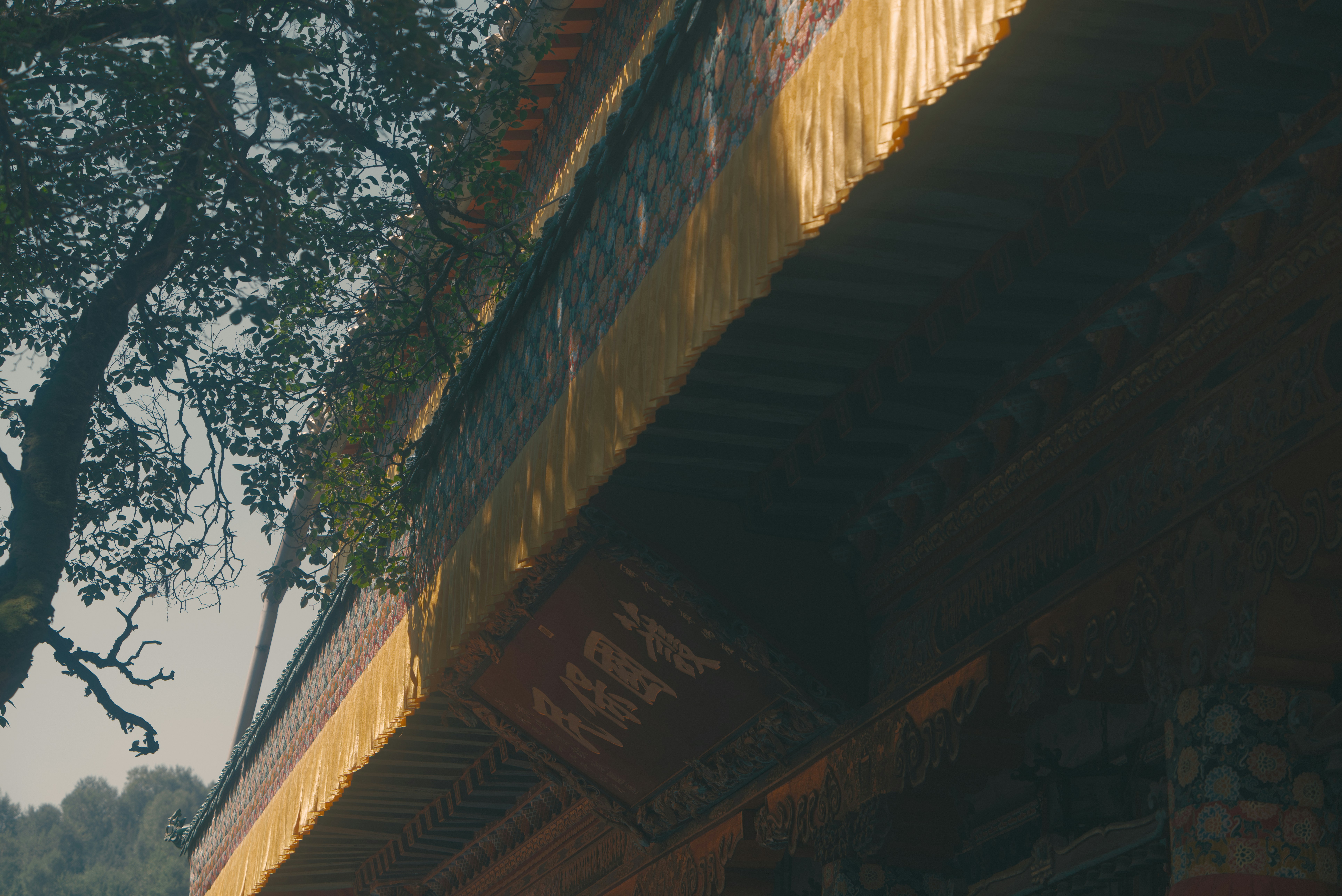 Overhanging Details: Golden Trim Beneath an Ancient Roof