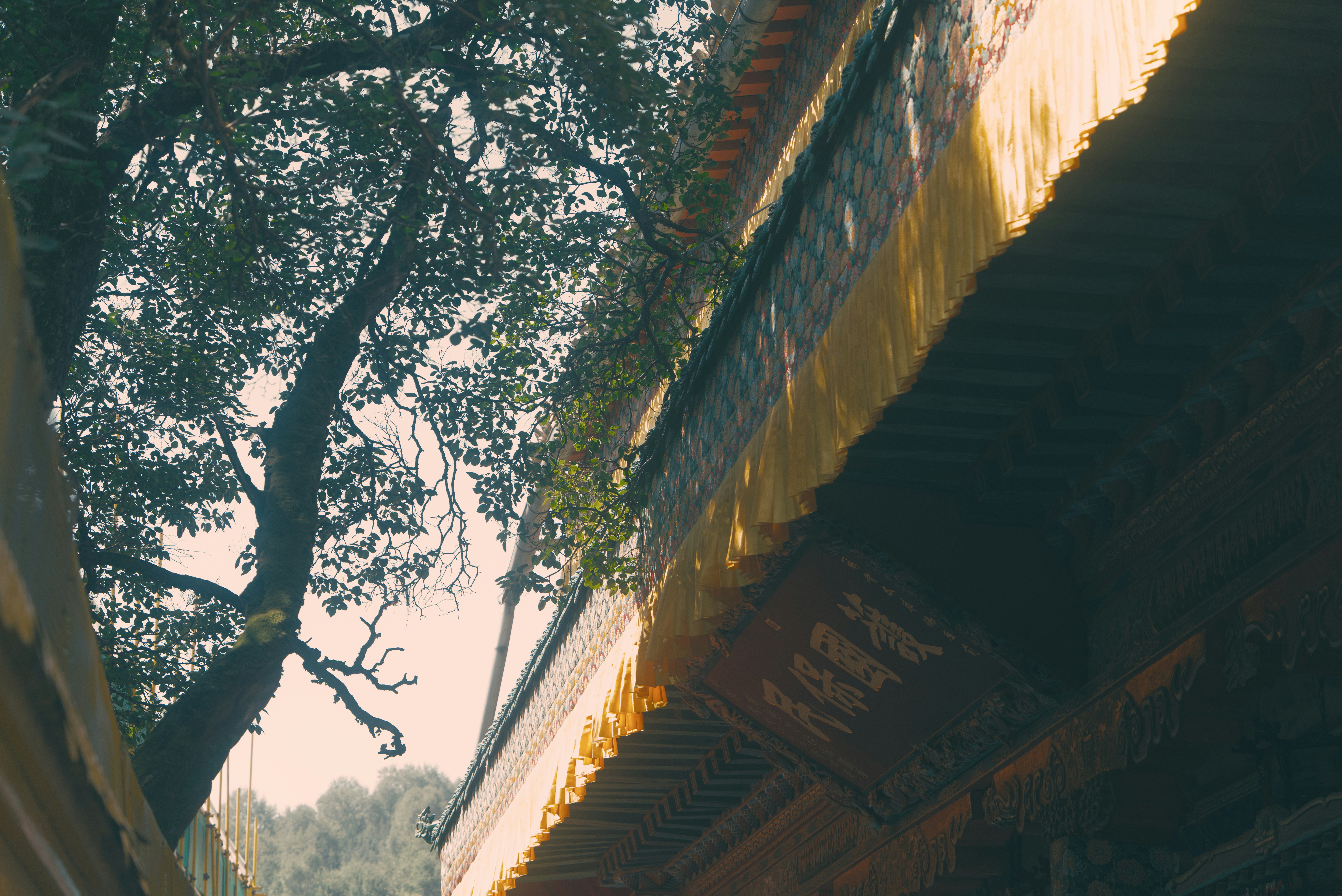 Under the Golden Carvings: A Tunnel of Light Beneath the Bridge
