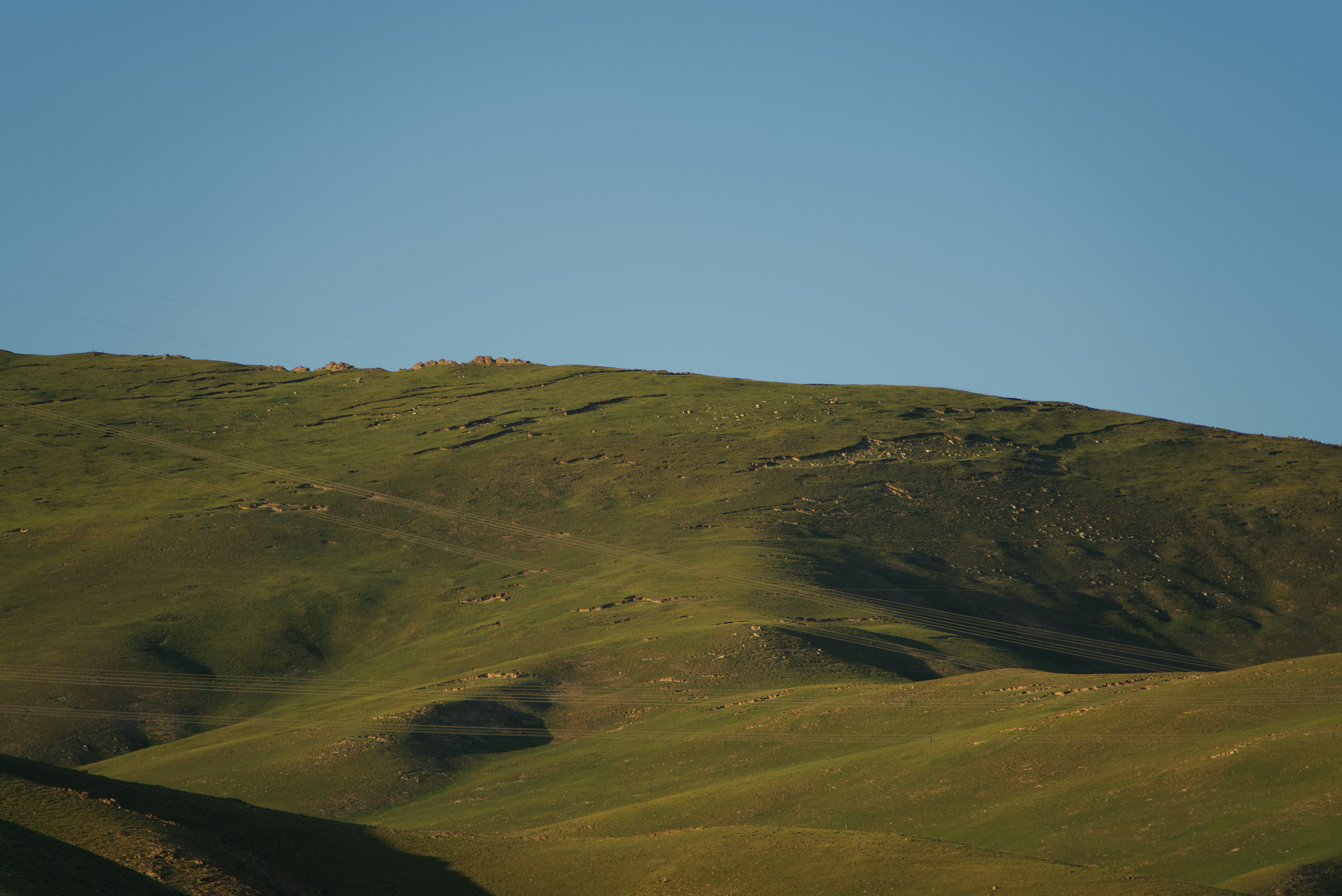 Rolling Moor Under a Clear Sky