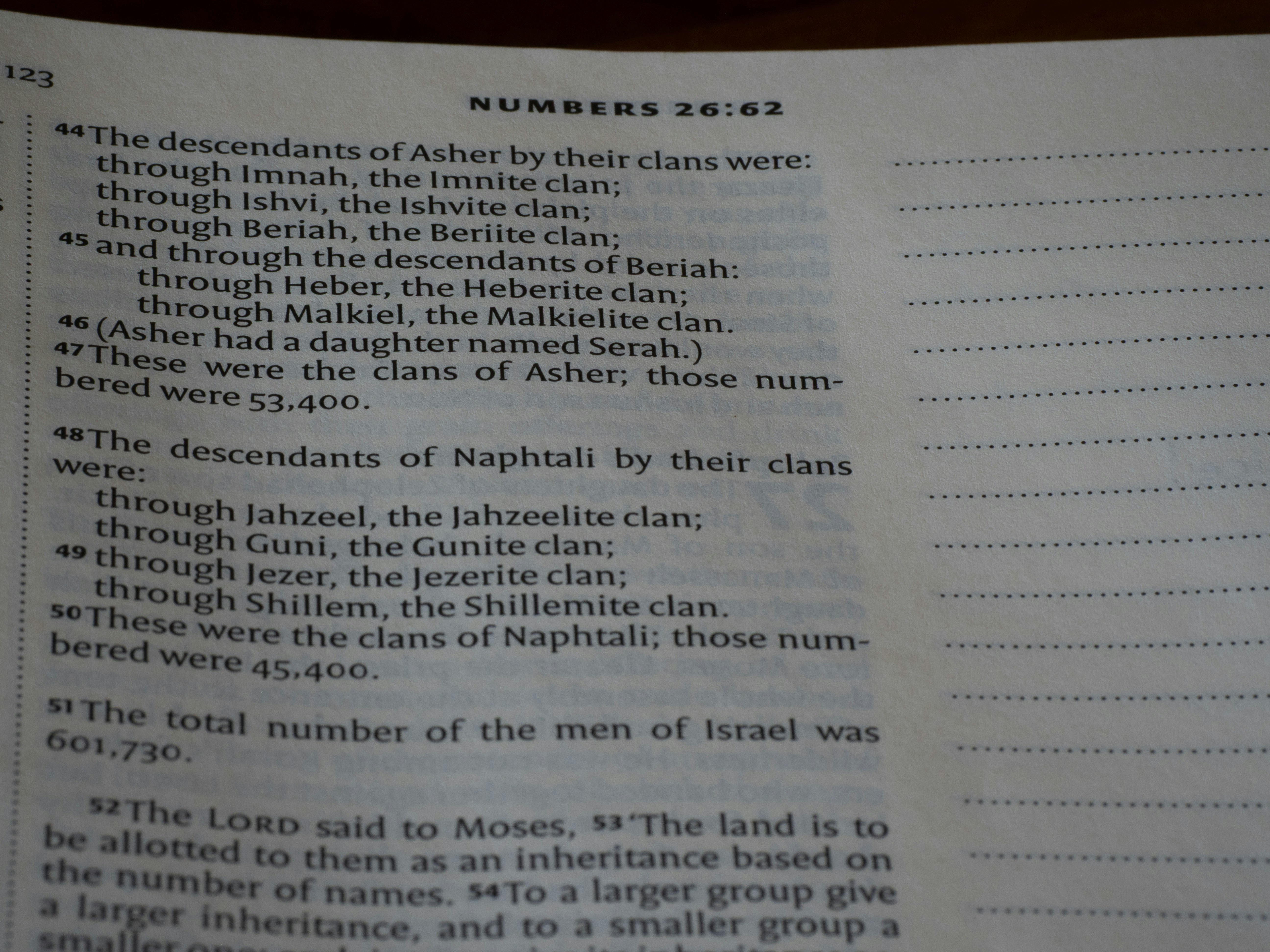 Ancient Page, Quiet Margin: A Fragment of Numbers