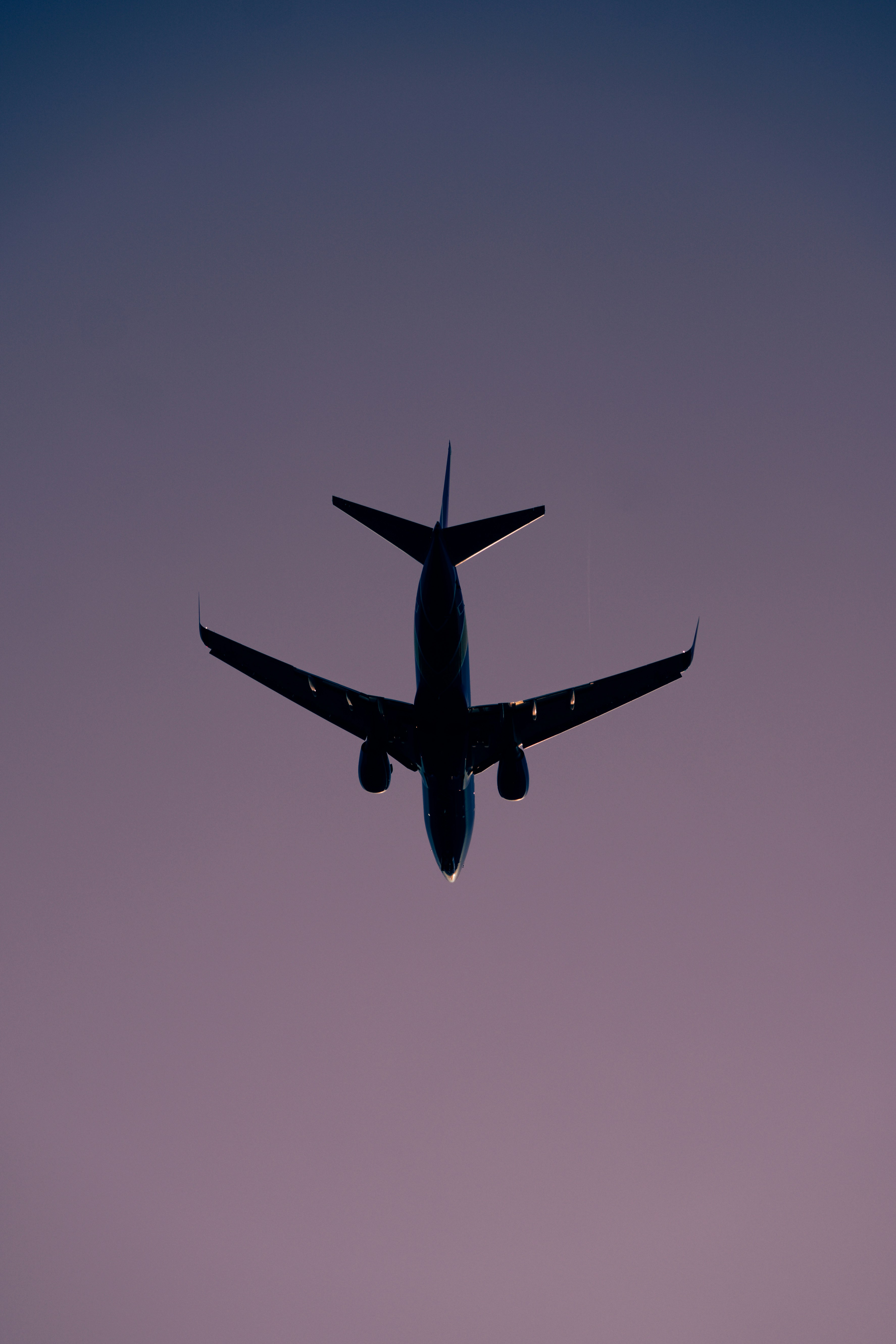 Silhouette Descent: A Jet in Low Light Over a Velvet Horizon