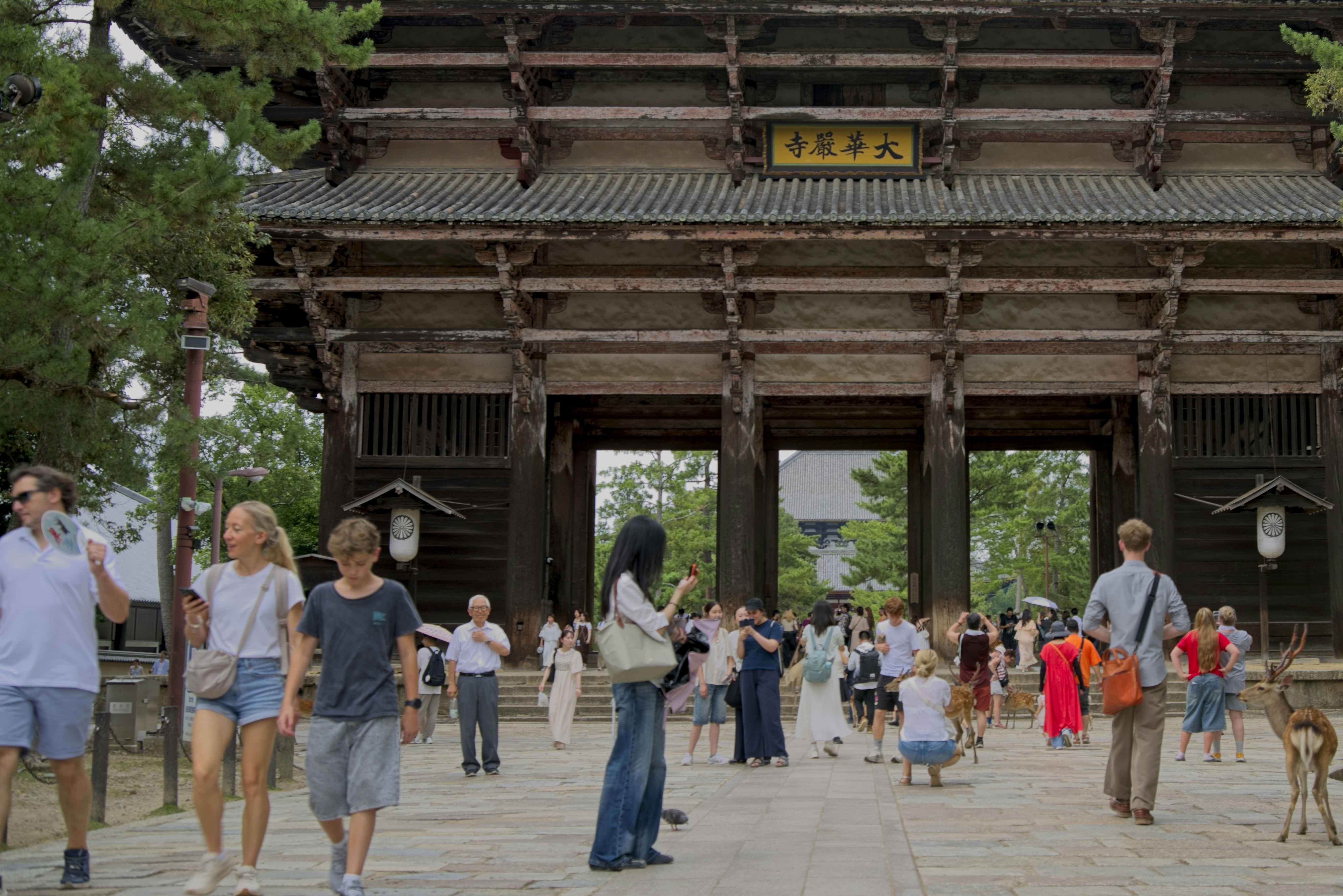 Gateways of Calm: Travelers Move Through a Majestic Temple Portal
