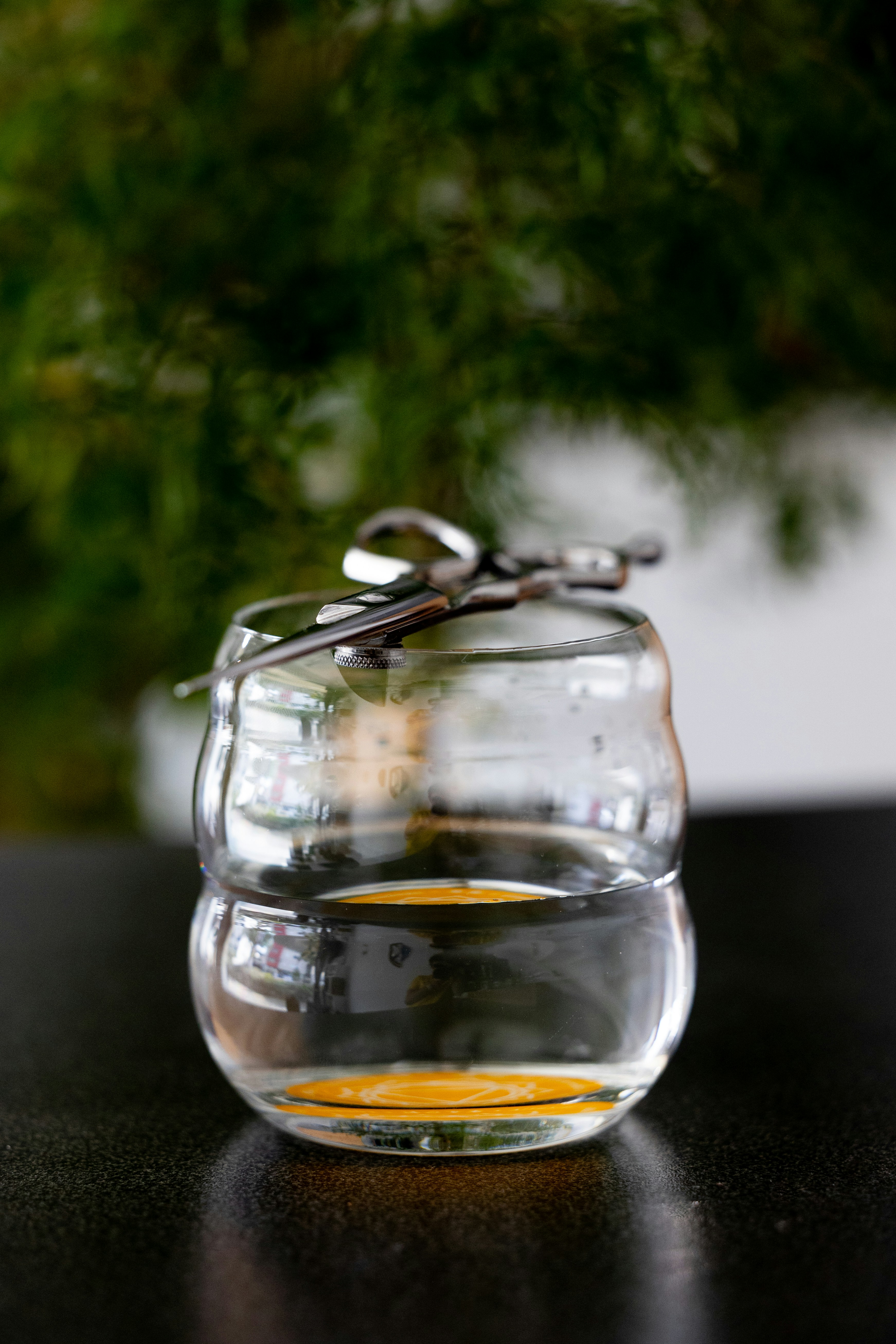 Clear glass goblet with orange slices reflected on a dark tabletop; blurred greenery backdrop adds depth and warmth to a simple still life.