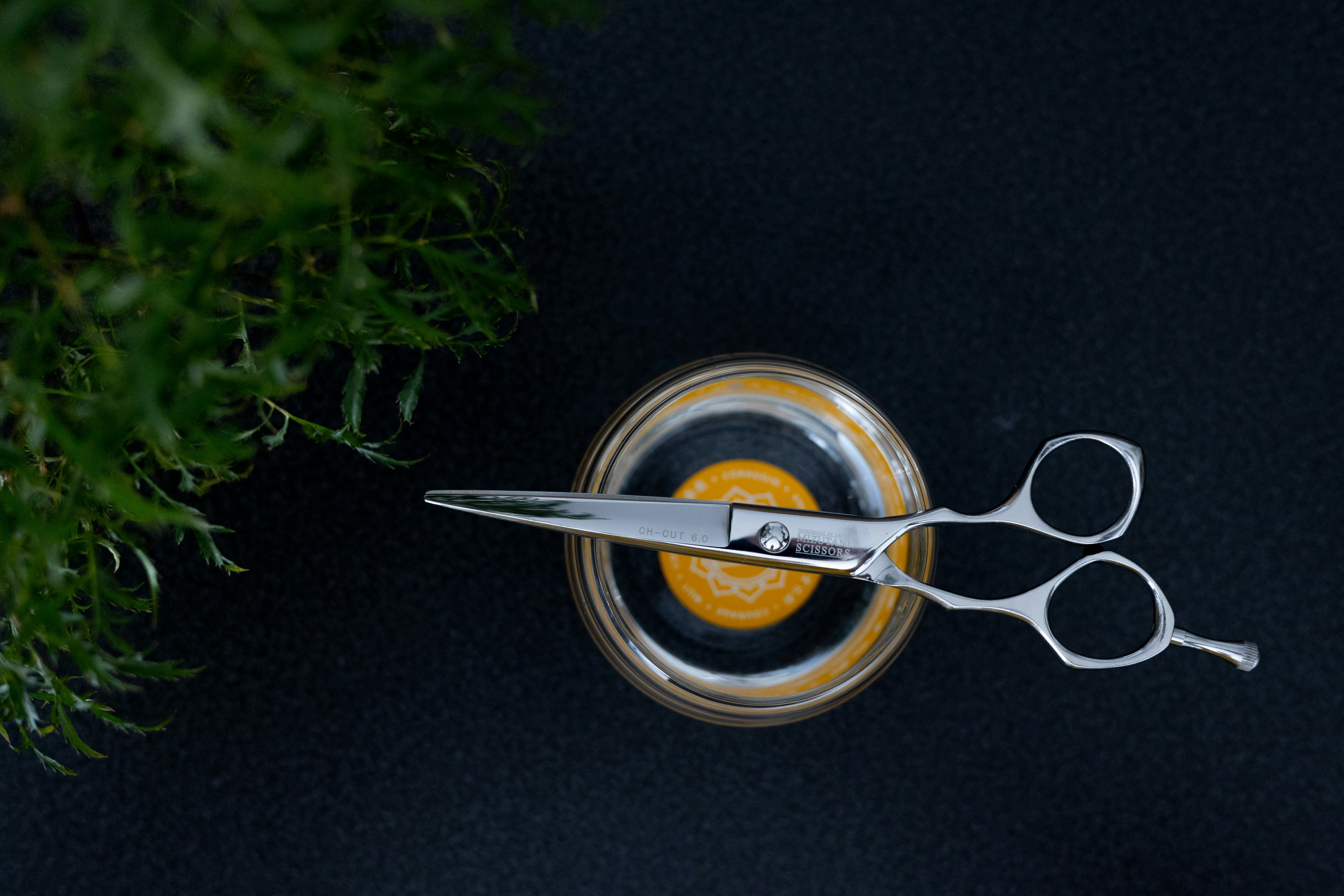 Sharp Scissors and Tin Can: A Quiet Desk Dossier