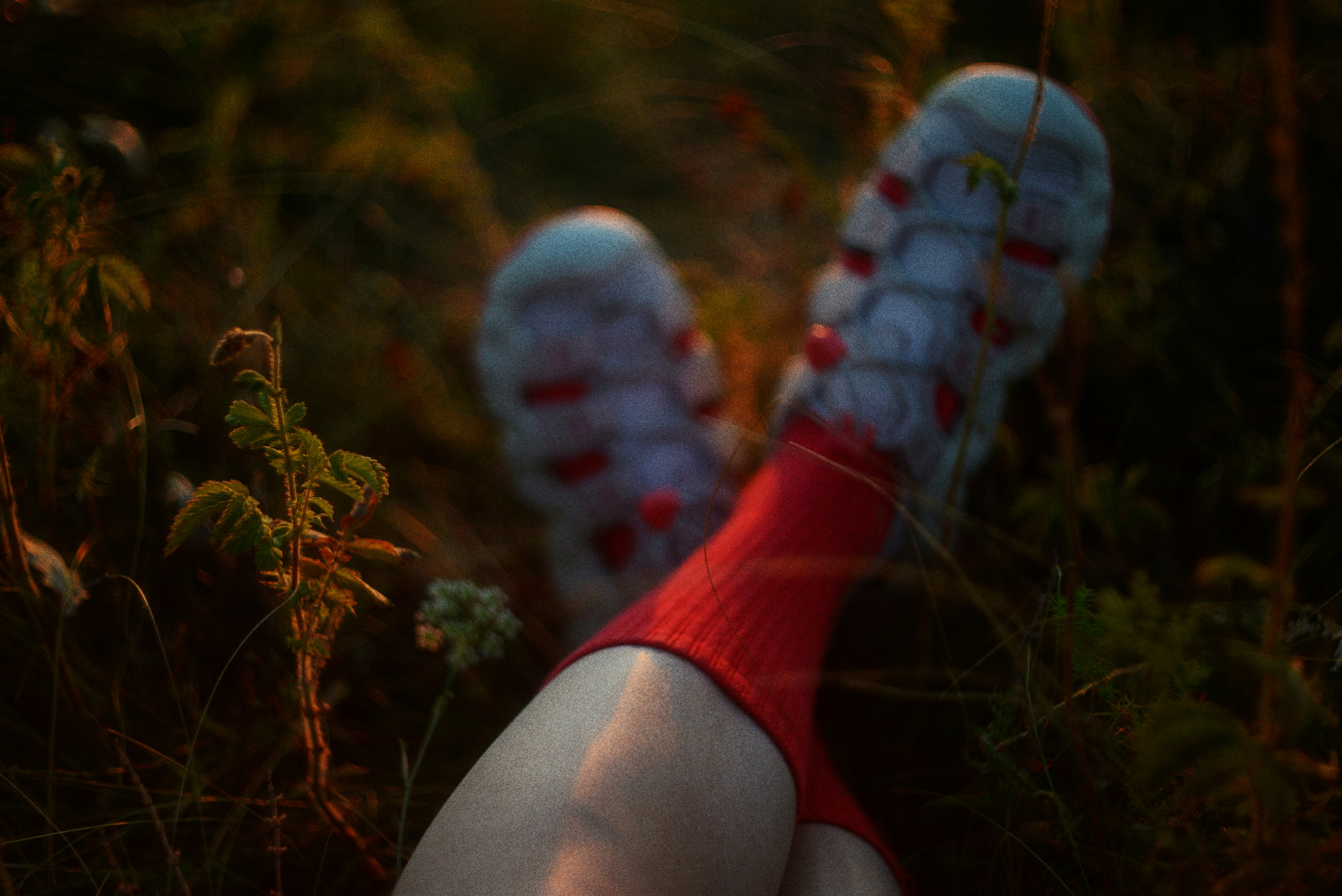 Cozy feet in red socks rest among tall grass and low plants at dusk, creating a soft, intimate moment.
