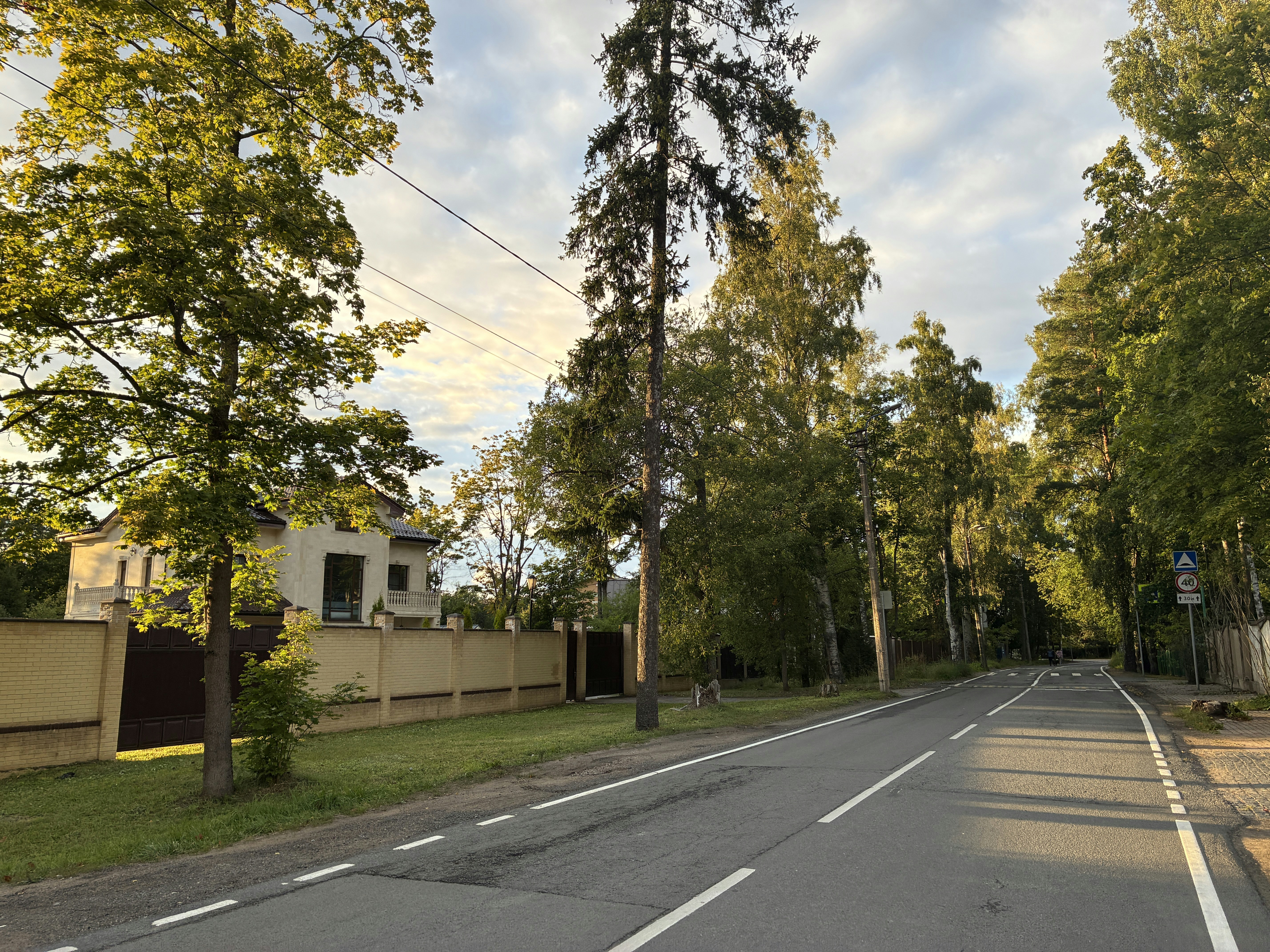 Tree-lined suburban avenue with a sunlit street edge