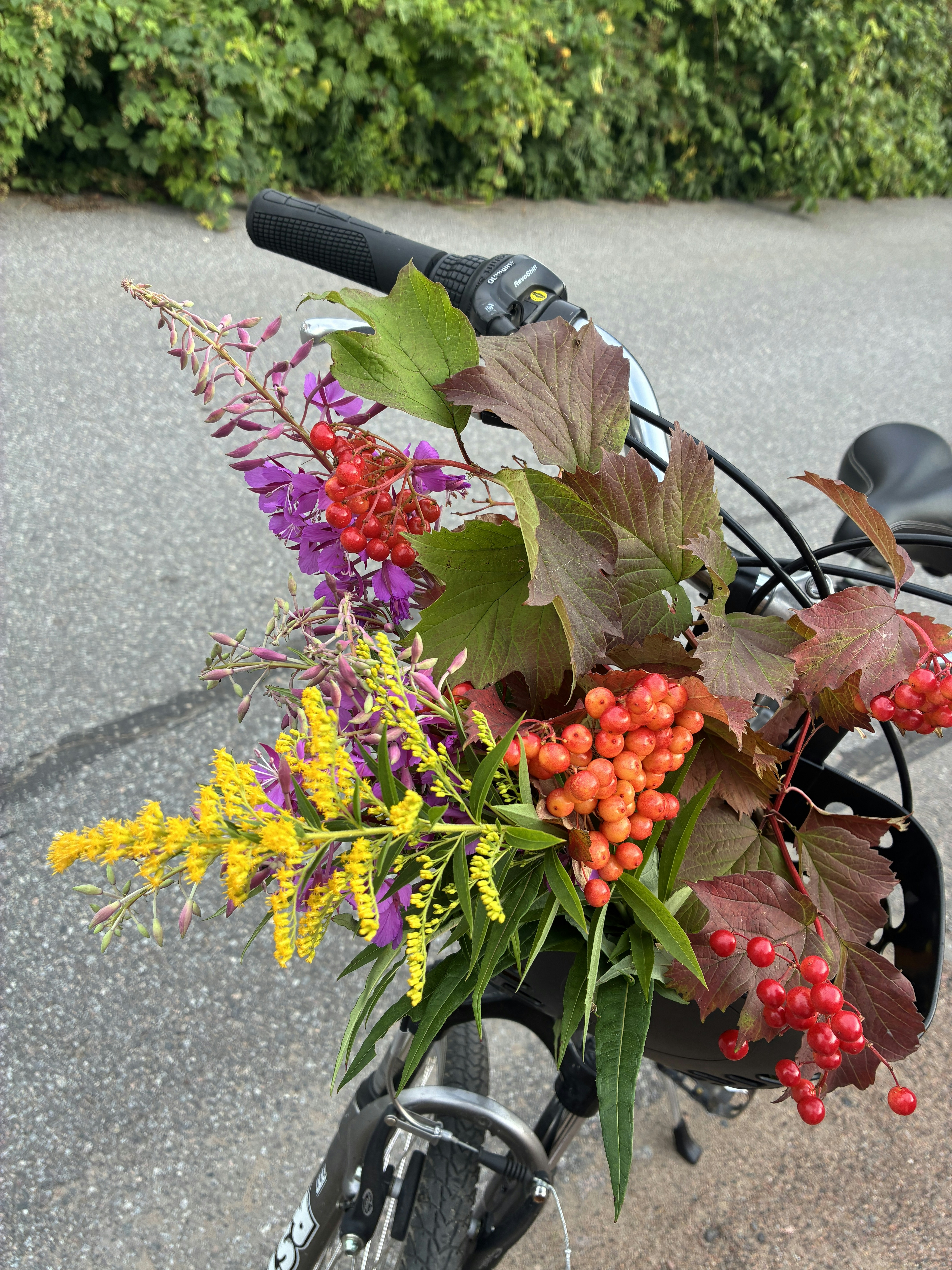 Bouquet of Autumn Harvest in a Bicycle Basket