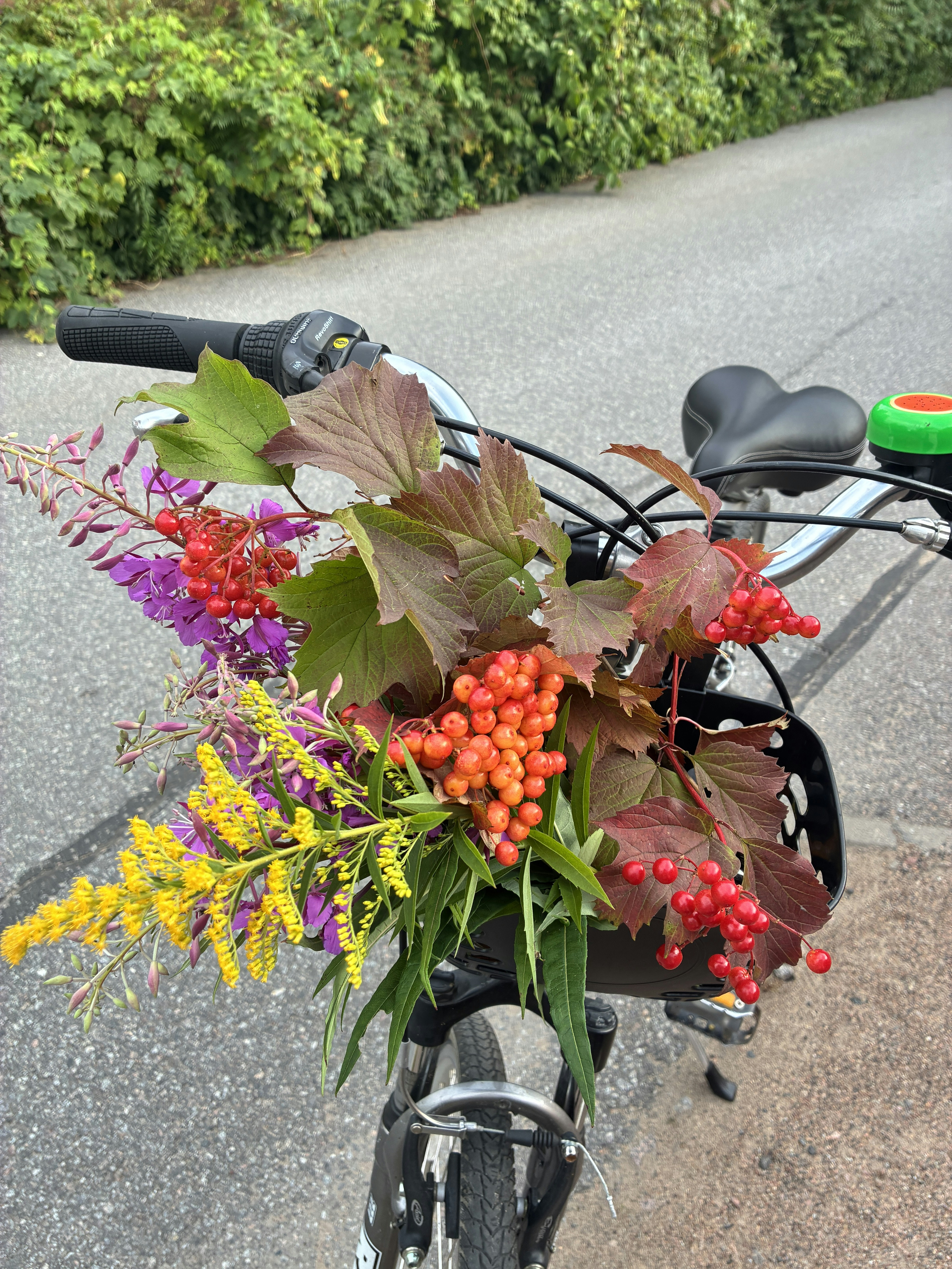 Bouquet on a Black Bicycle: Autumn Berries and Flowers in the Rider’s Basket