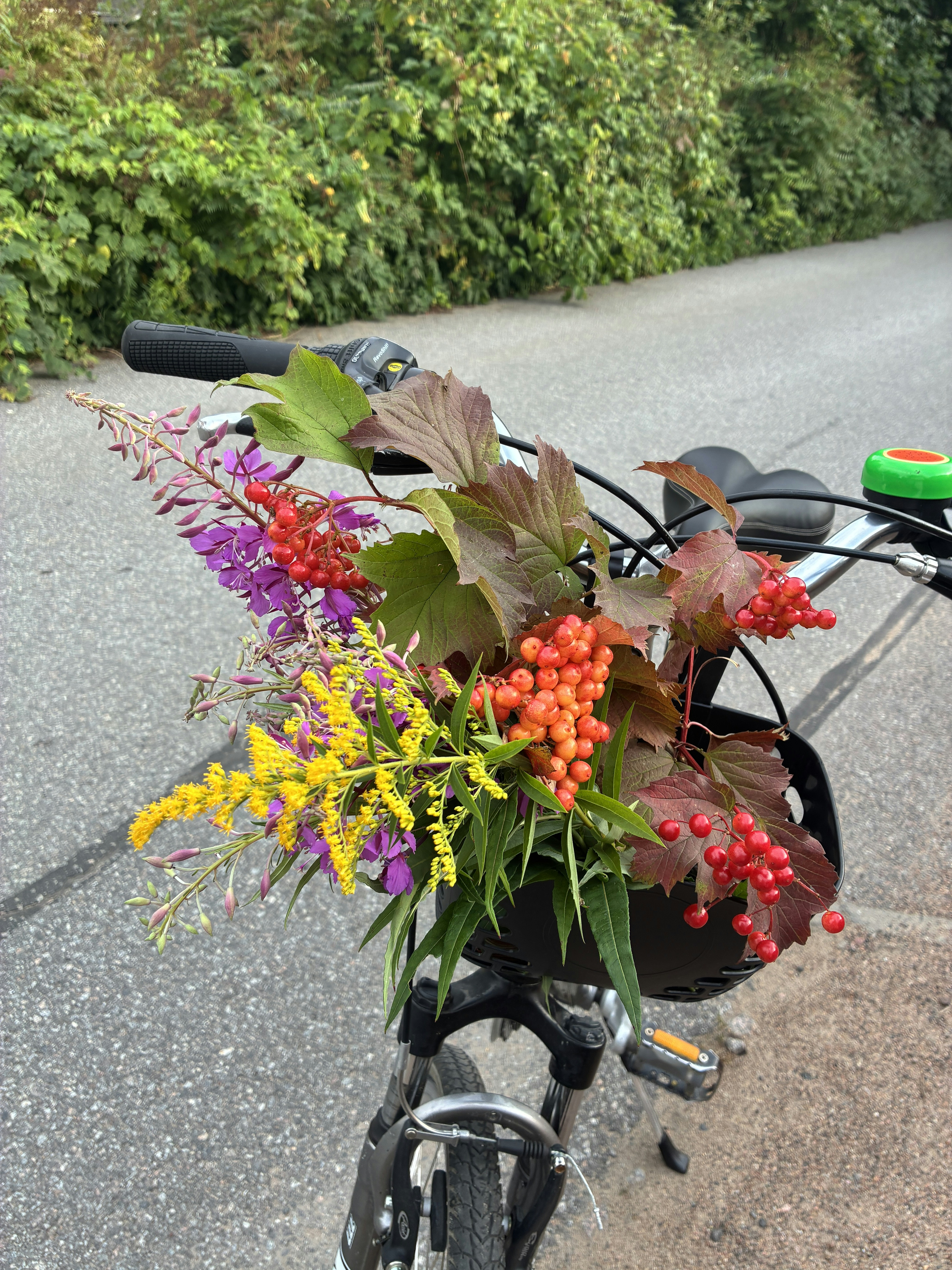 Bouquet on a Bicycle: Floral Burst Hauled by Handlebars