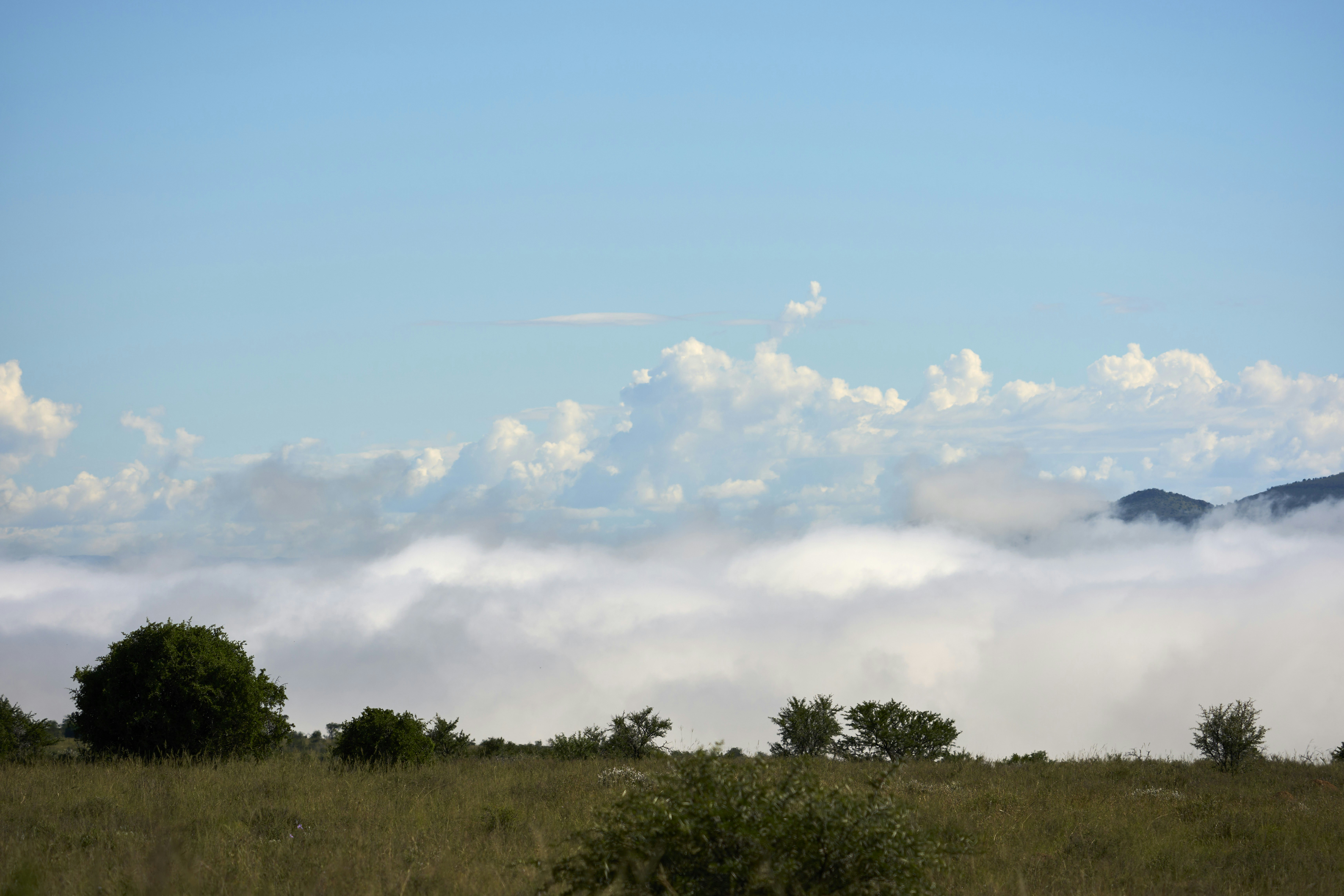 Low-lying Clouds Over a Quiet Field