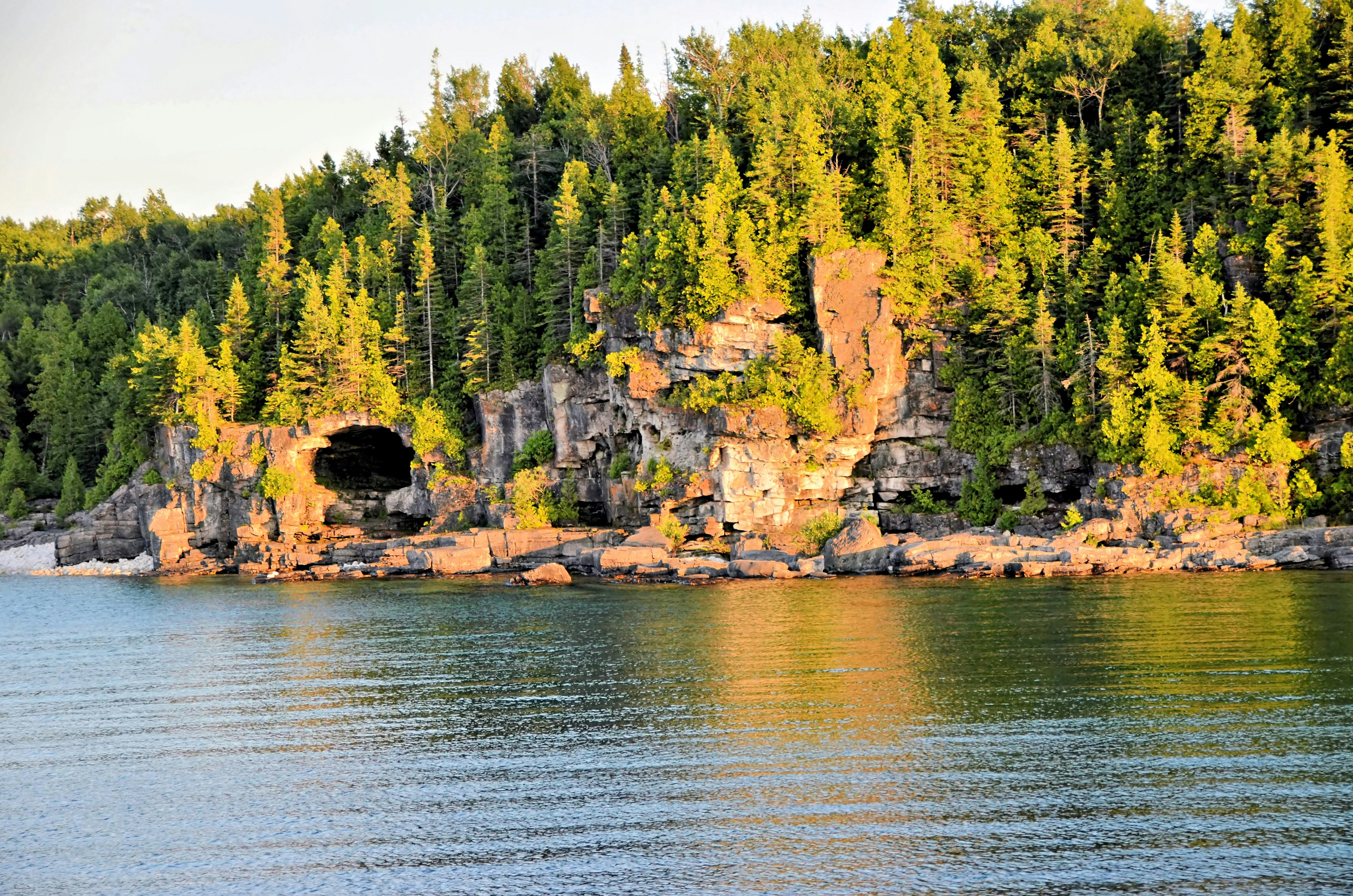 Sunlit Pine Cliff Over Calm Lake