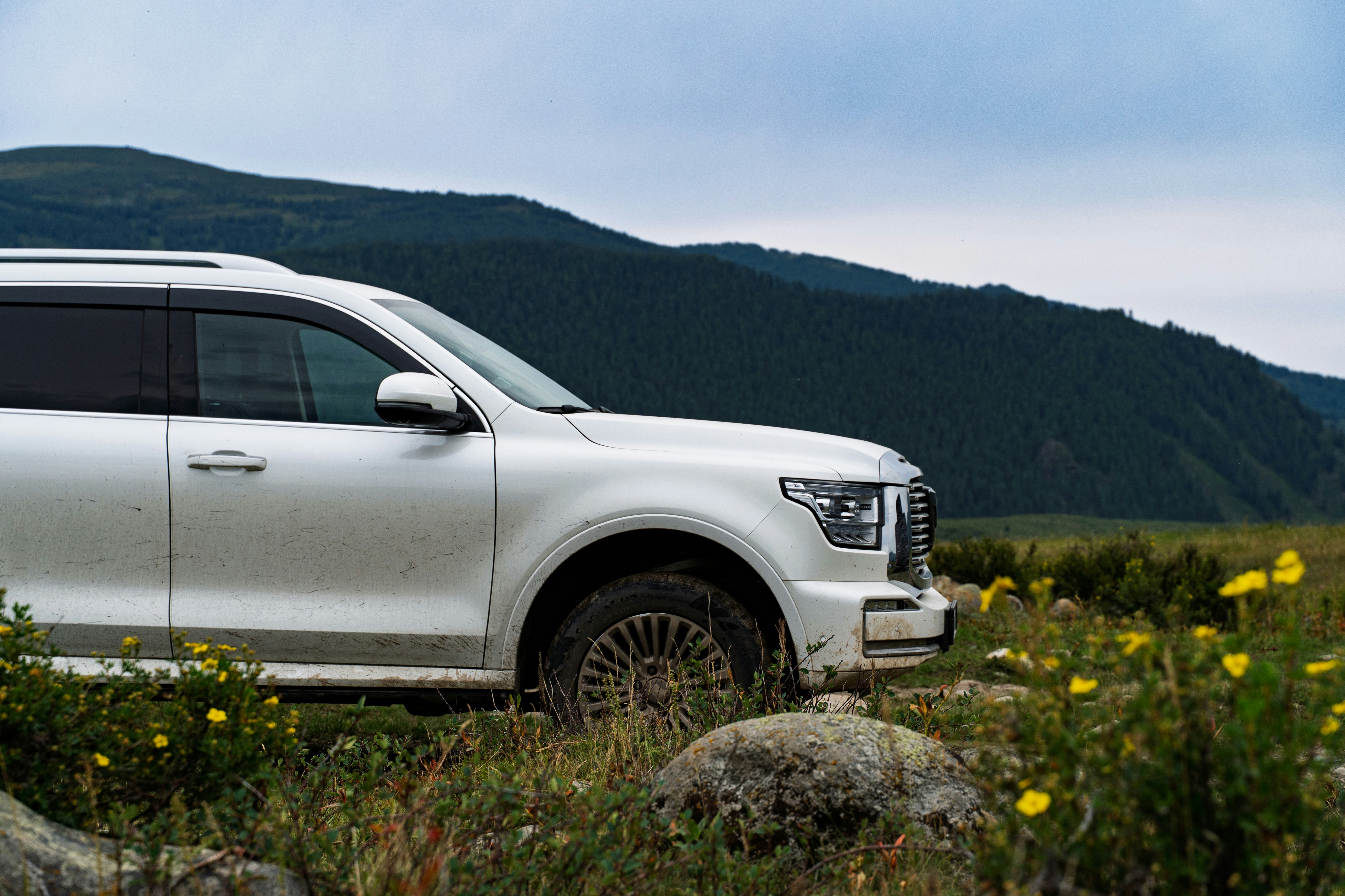 White SUV Resting in a Wildflower Corridor