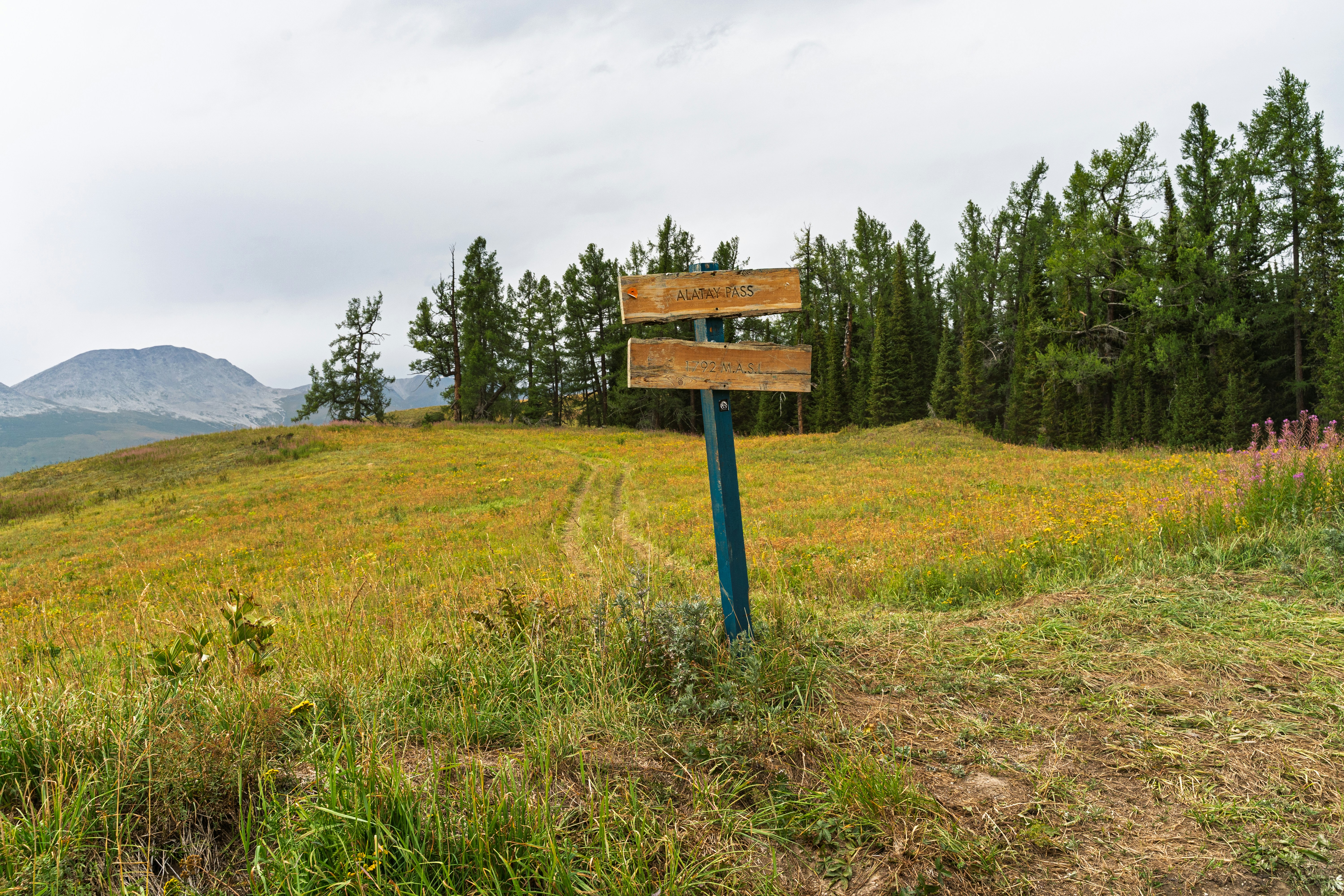 Trail Signpost in a Meadowed Ridge