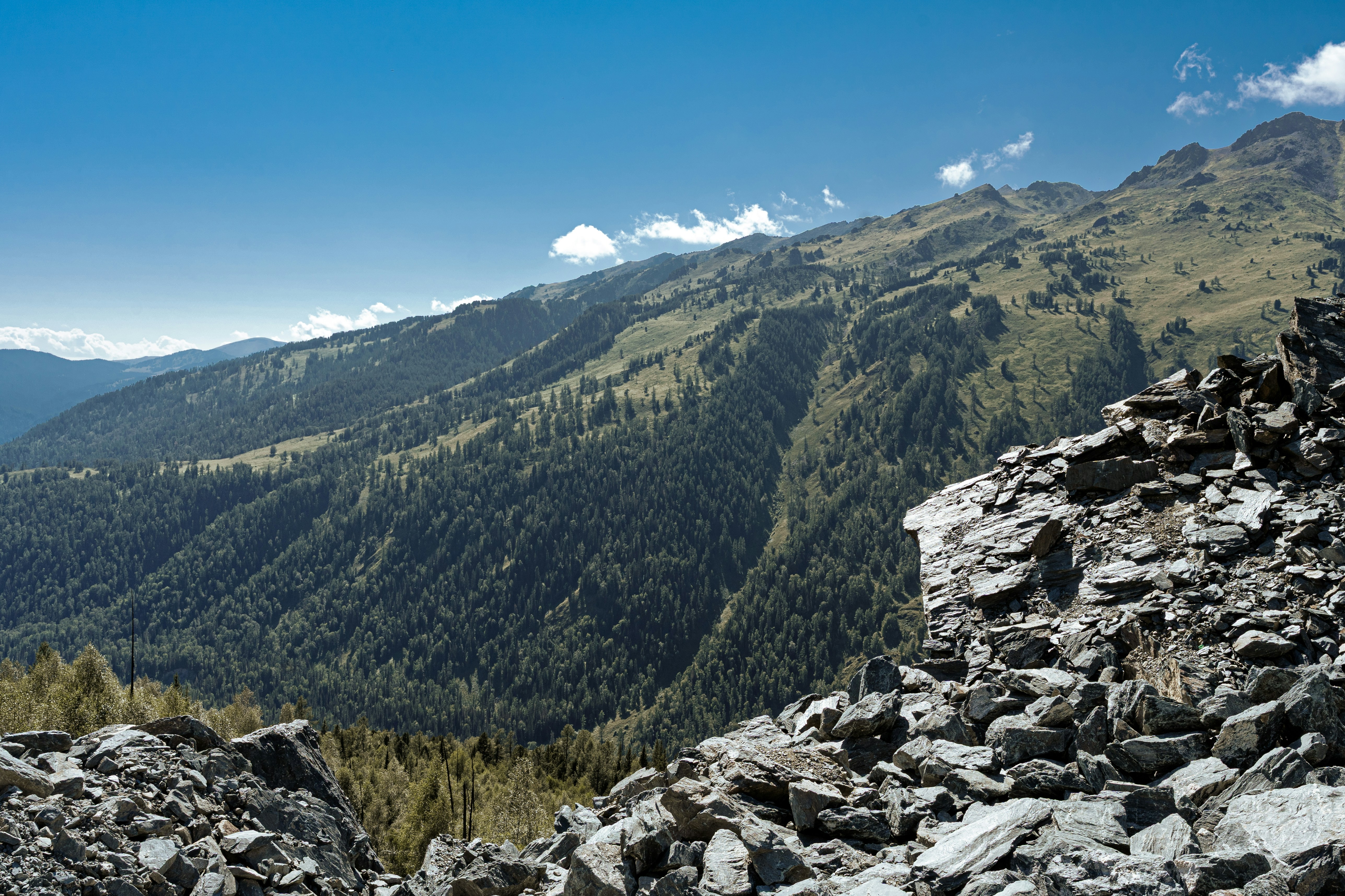 Stone Messenger of the Valley: A Ridge of Rock and Pine
